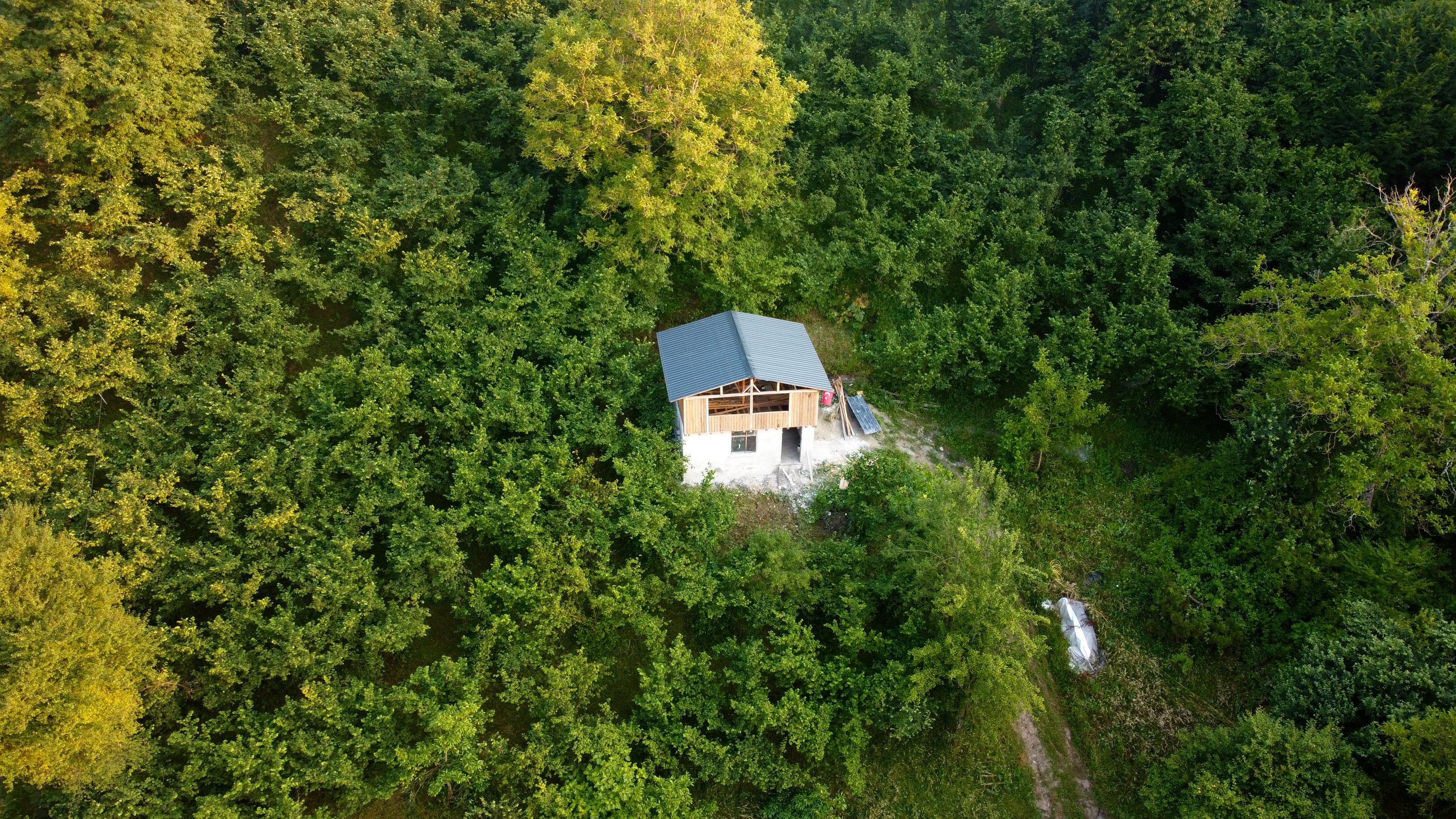 An aerial view of a small cabin in the woods · Free Stock Photo