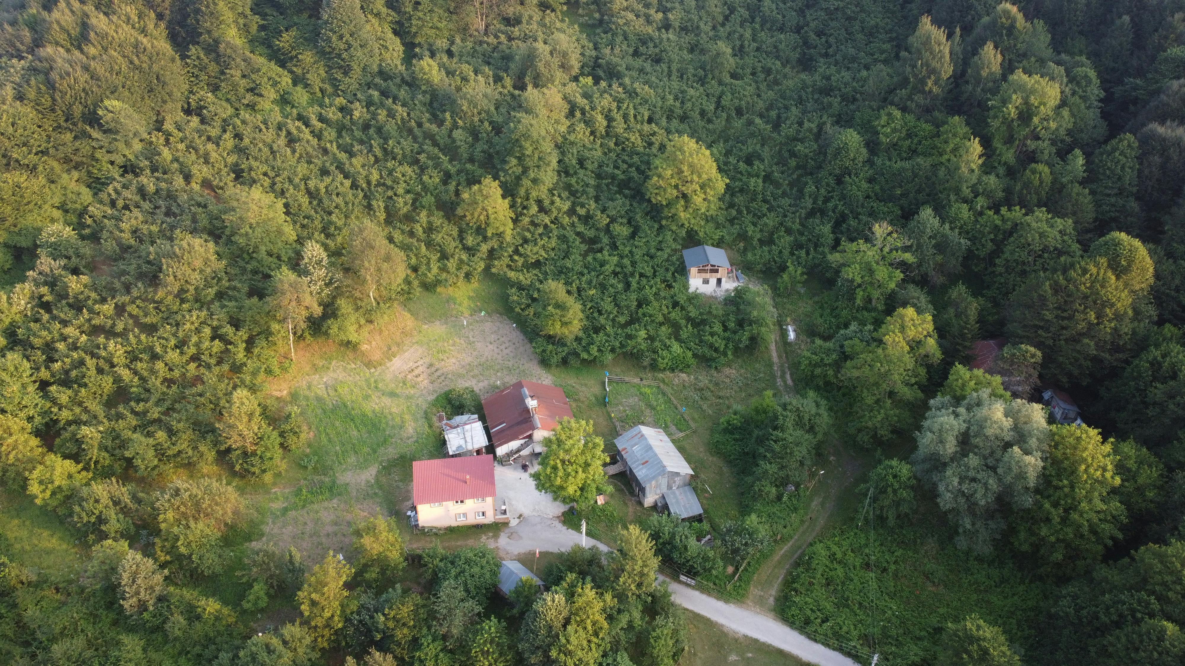 An aerial view of a farm in the woods · Free Stock Photo