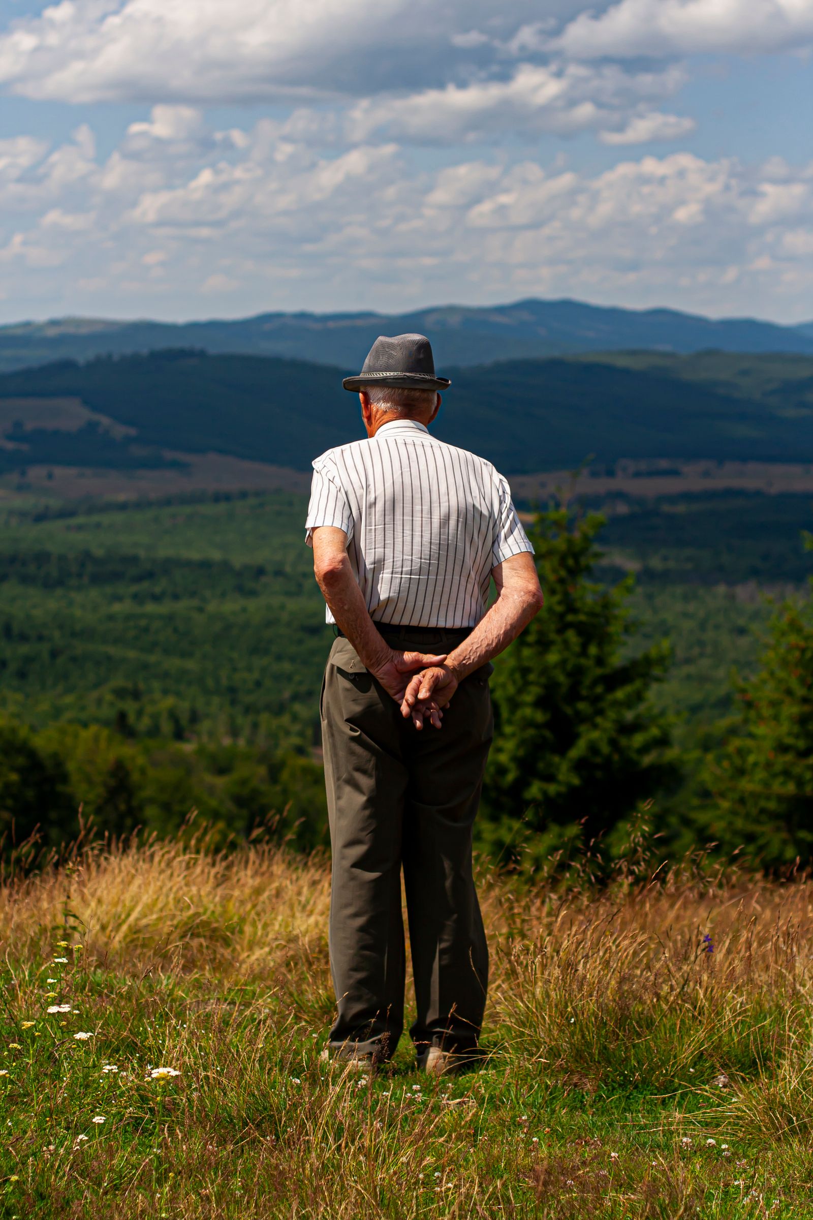 Big Back Photos, Download The BEST Free Big Back Stock Photos & HD Images