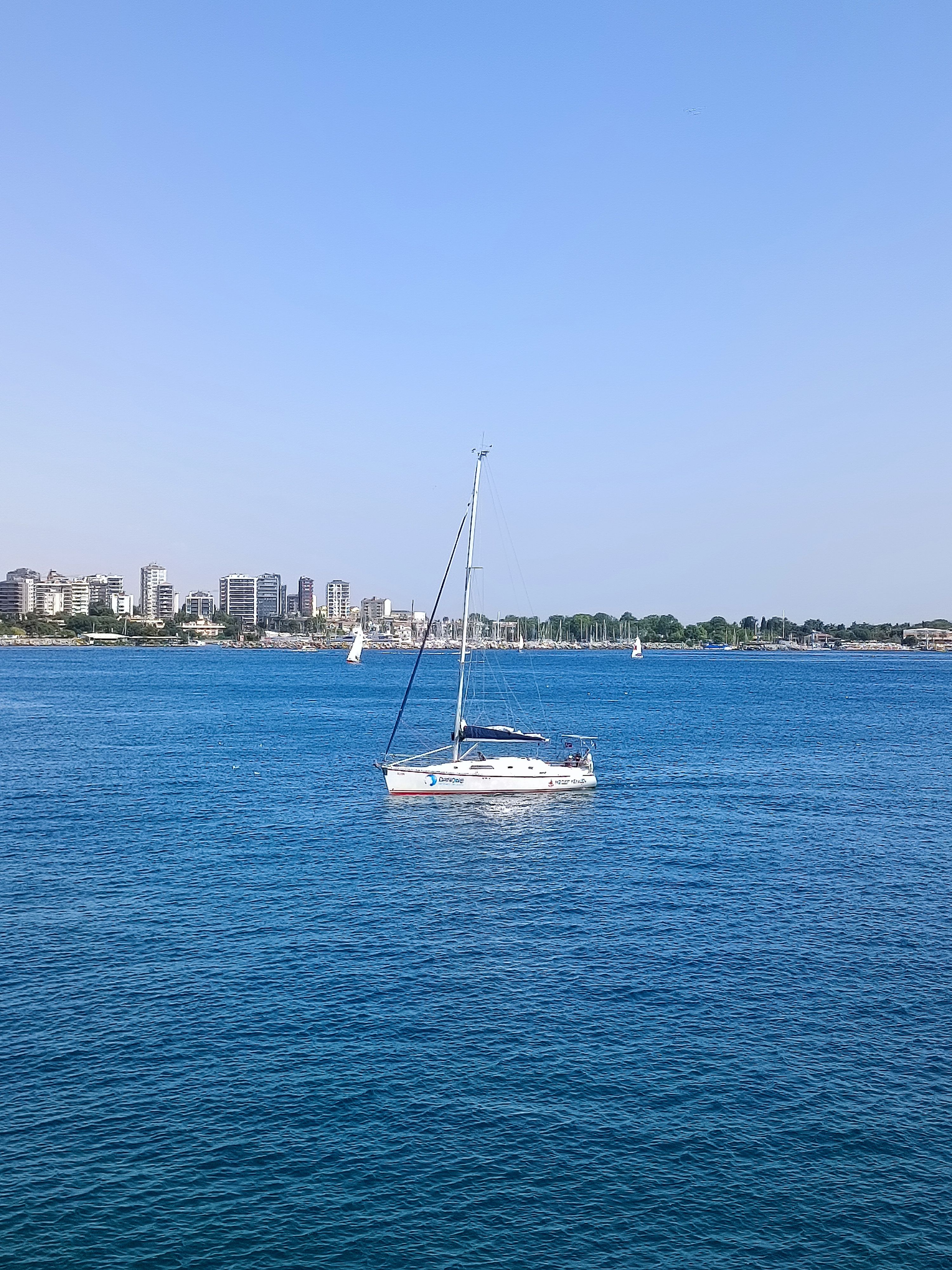 Photo of Sailboat On Ocean · Free Stock Photo
