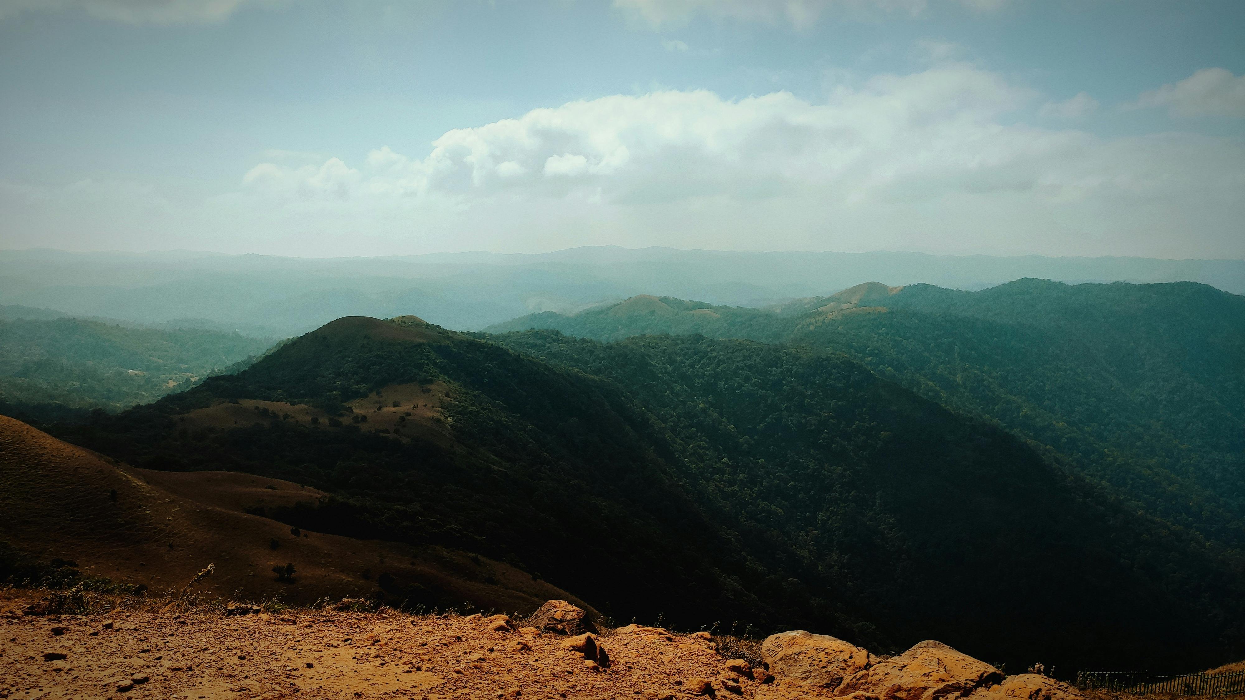 Isha Paliwal - 사진