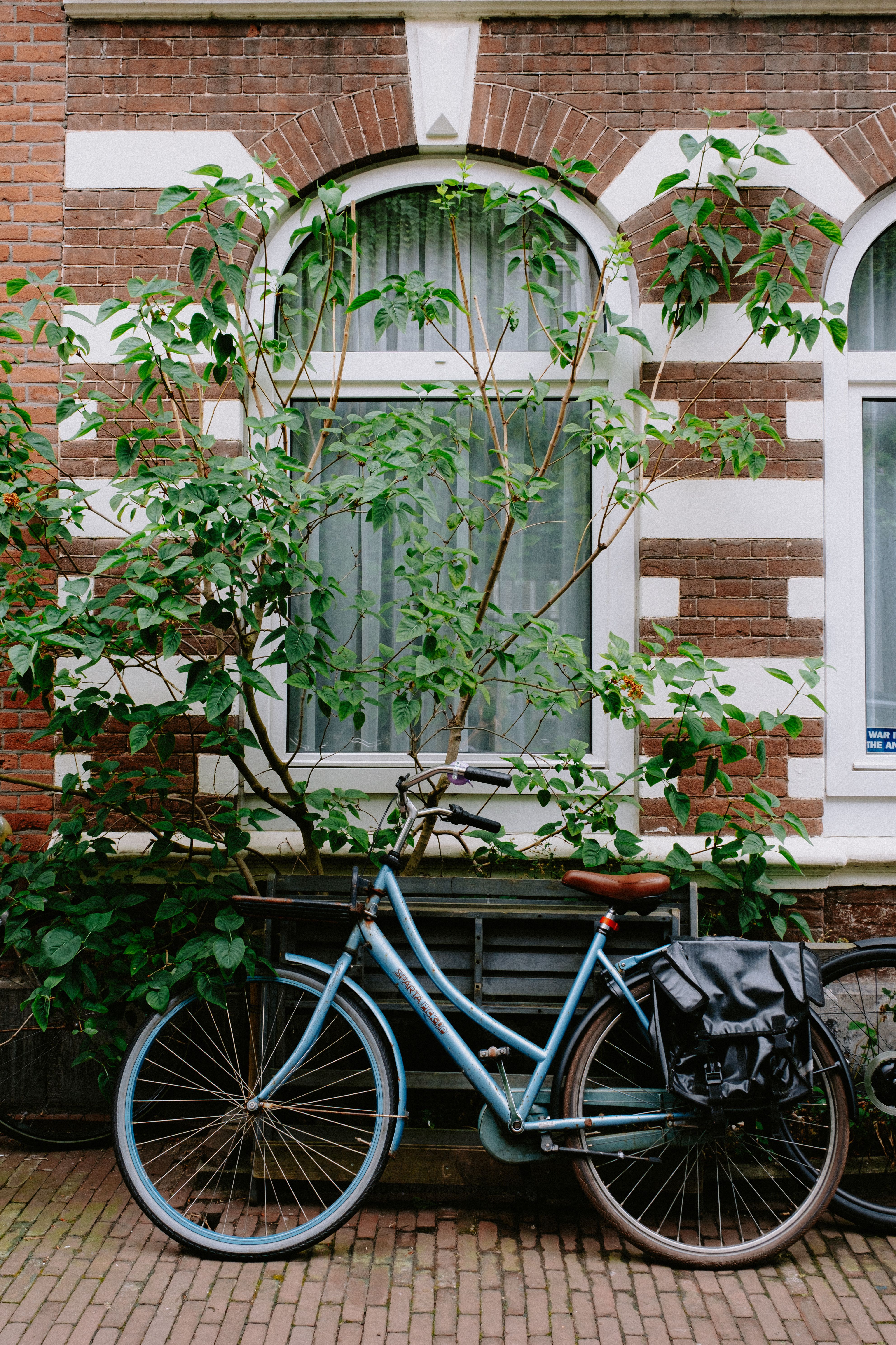 Bicycle near Tree and Window · Free Stock Photo