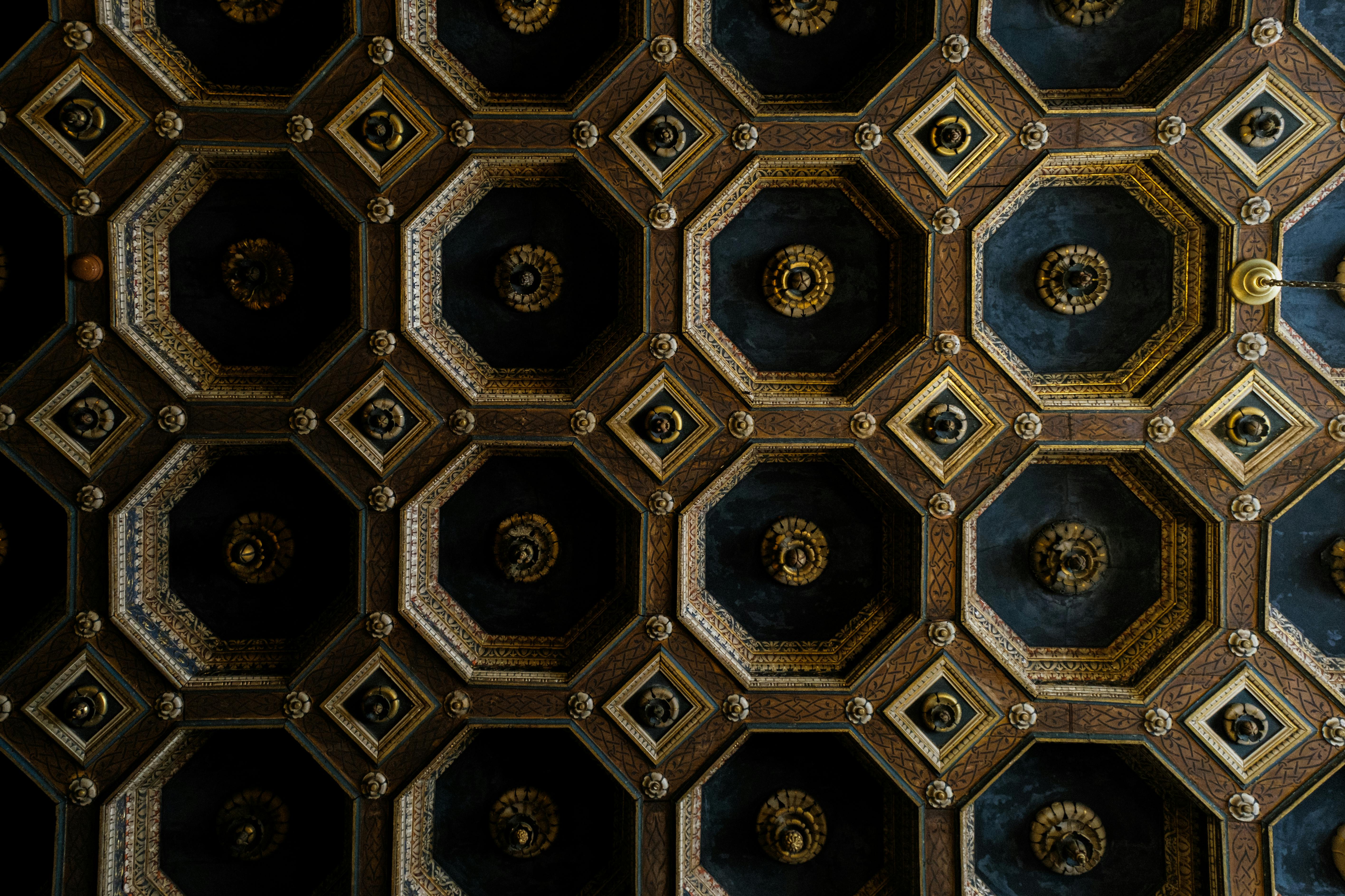 Ceiling Medallions Photos, Download The BEST Free Ceiling Medallions ...