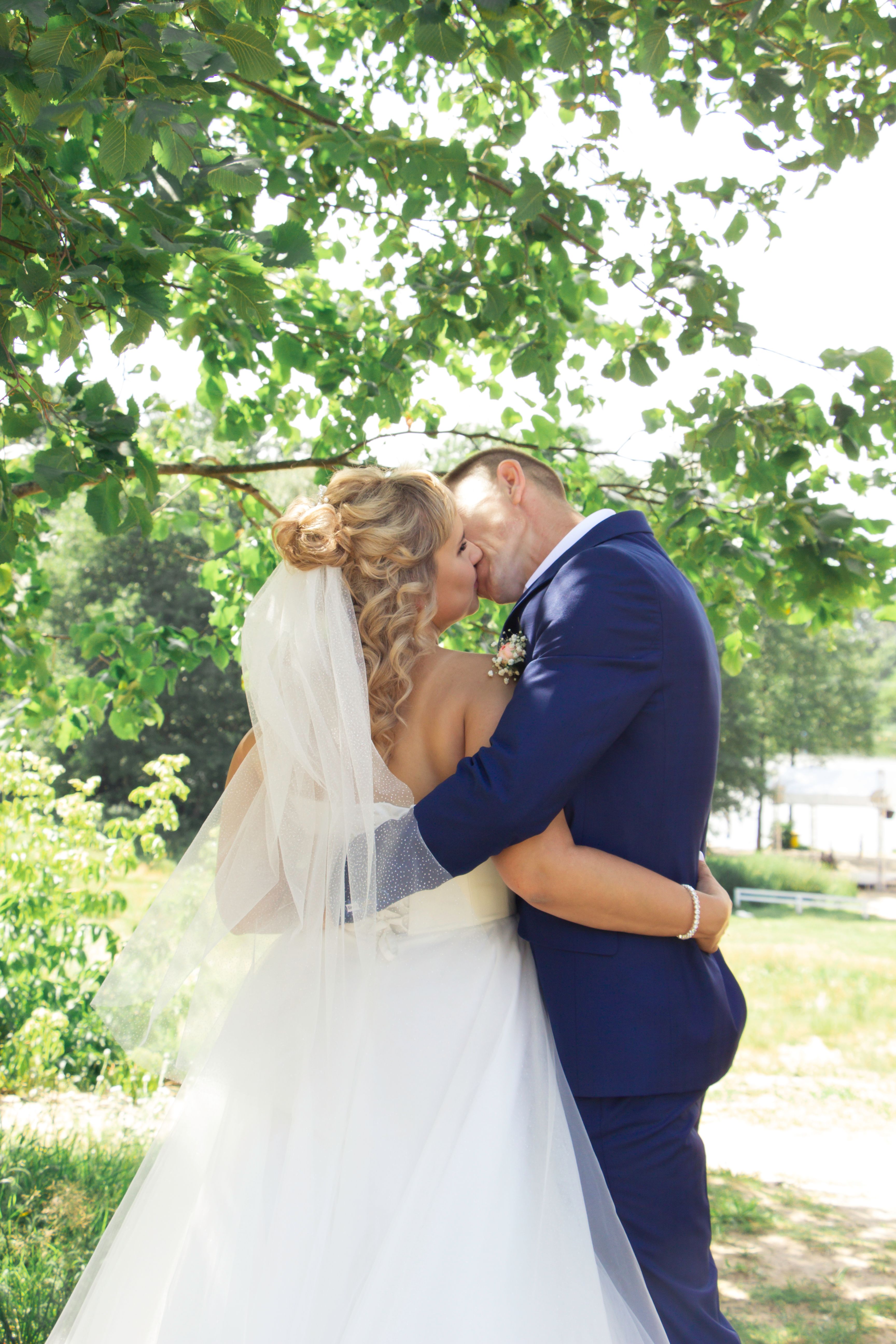 A bride and groom kiss under a tree · Free Stock Photo