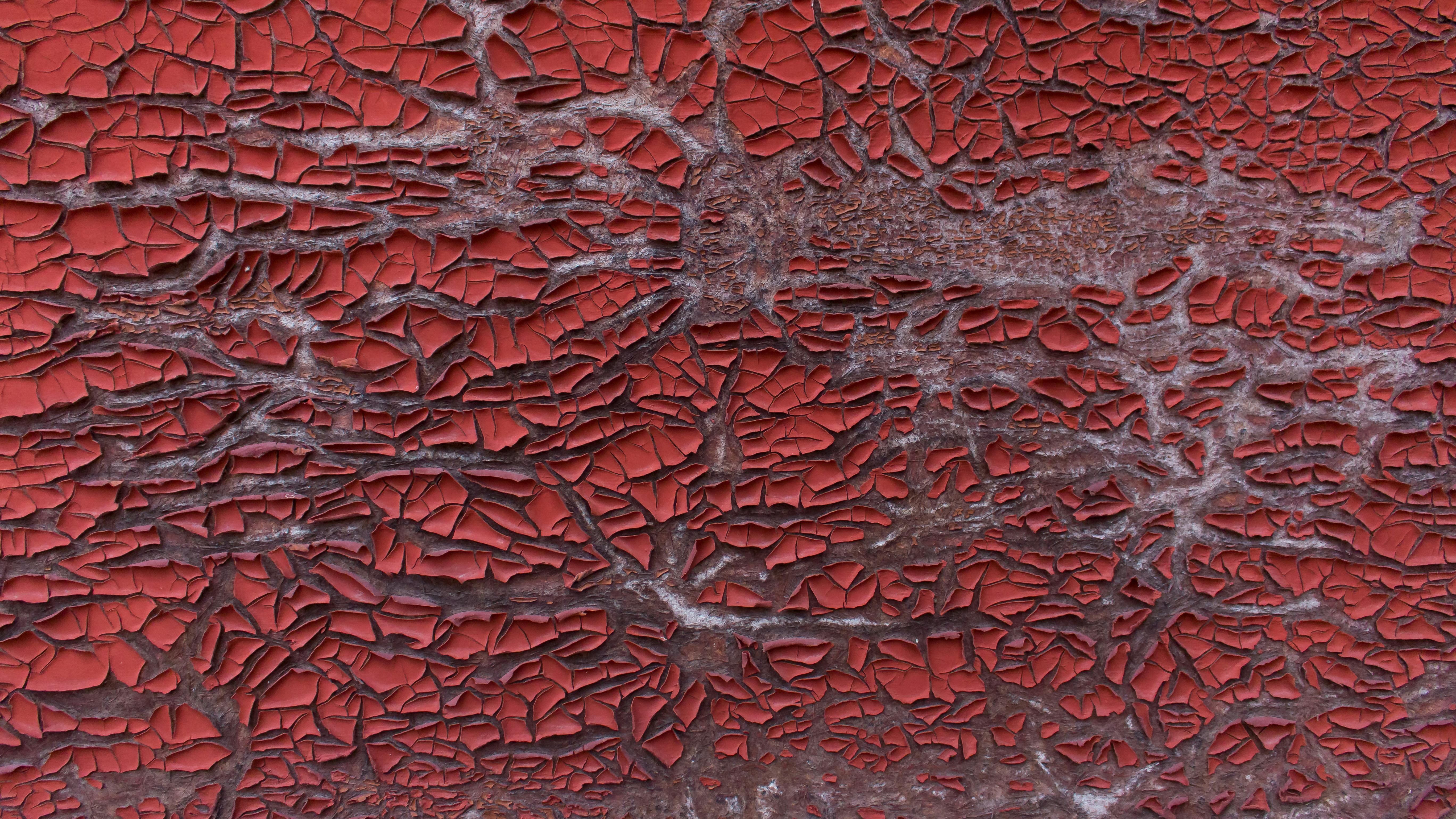 Free stock photo of decay, decayed wood, decaying