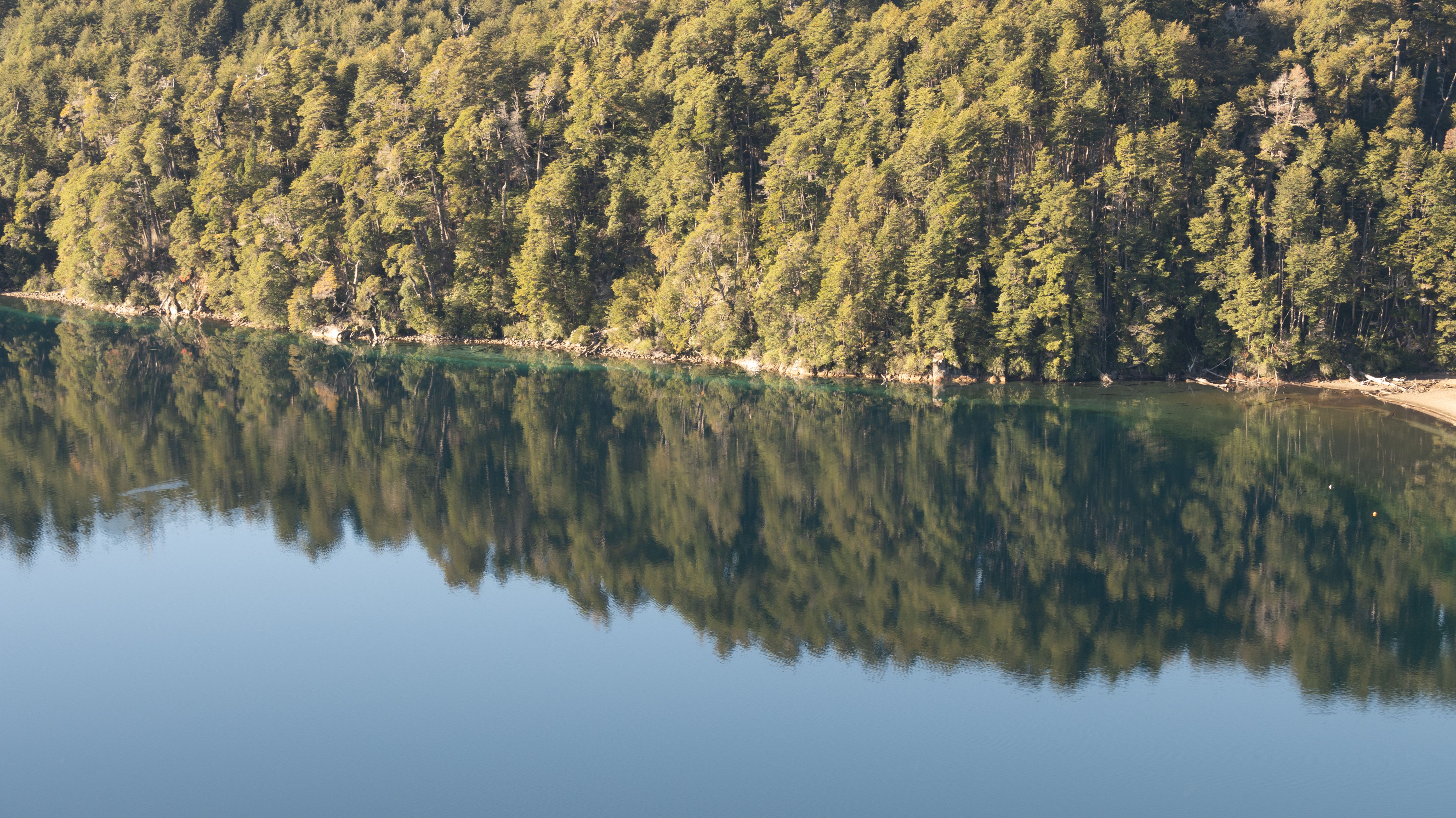 View of Green Trees on a Shoreline Reflecting in a Still Body of Water ...