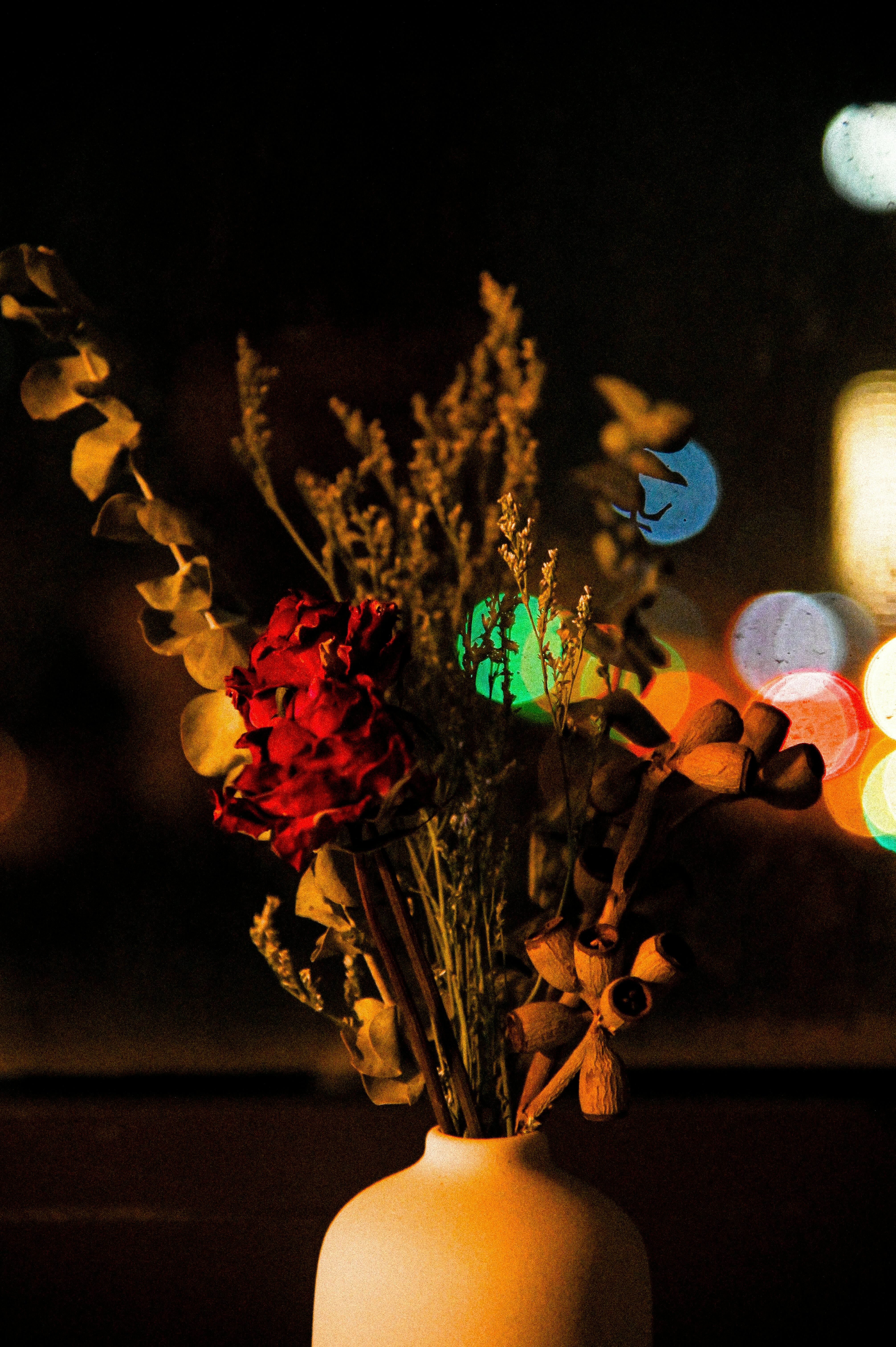 Dry Flowers in a Vase · Free Stock Photo
