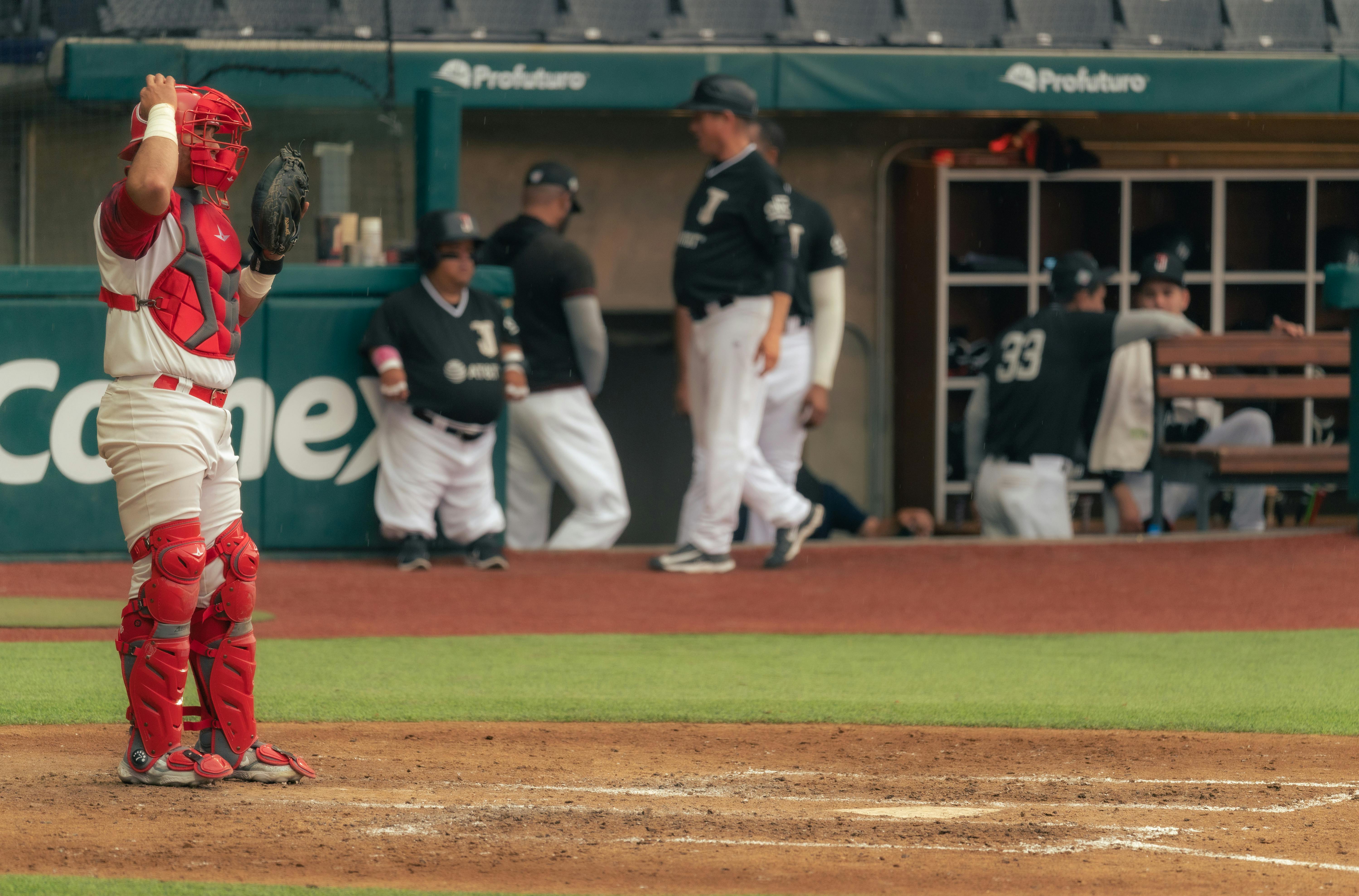 Umpire Photos, Download The BEST Free Umpire Stock Photos & HD Images