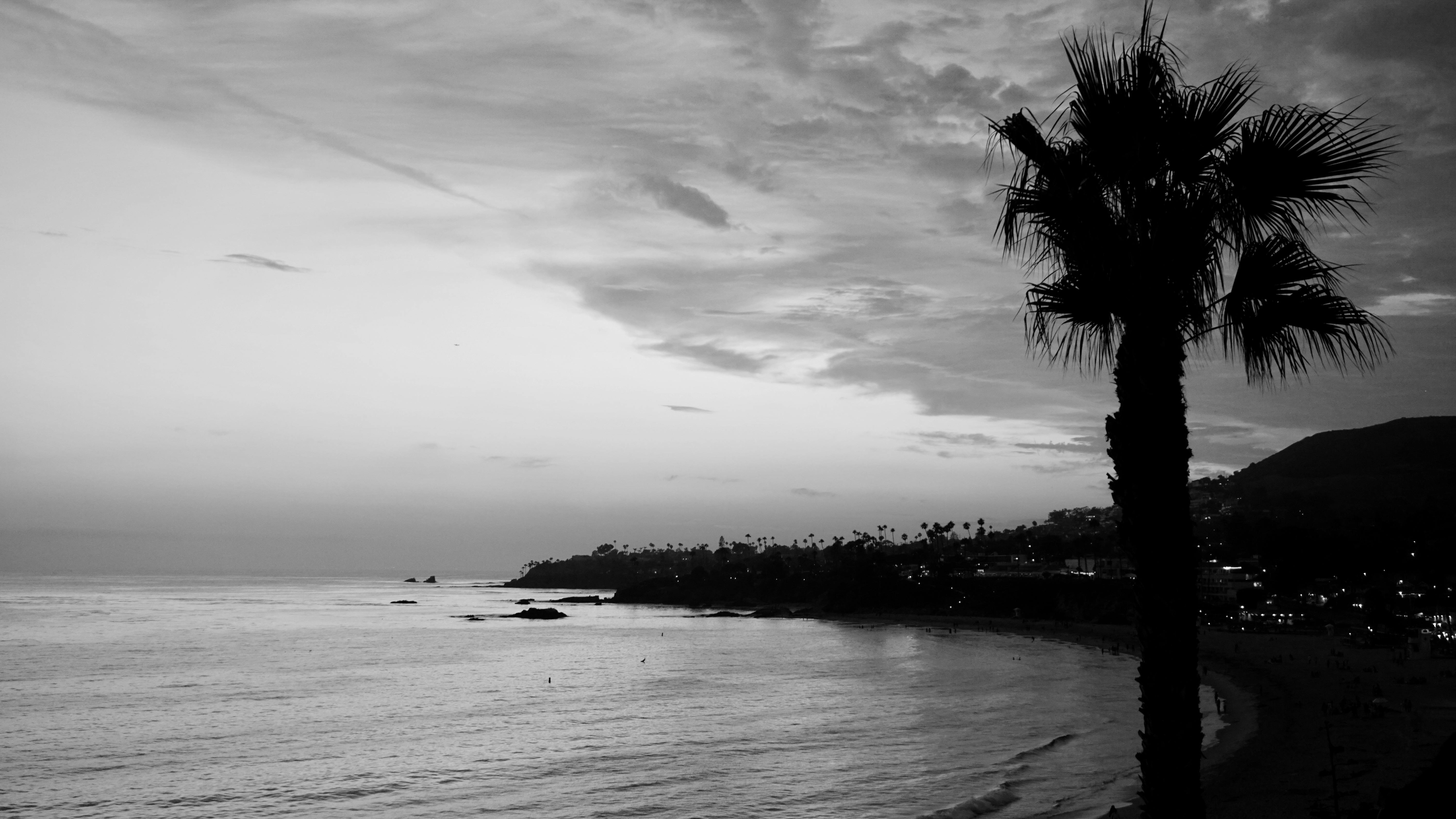 Jason Corder - 사진