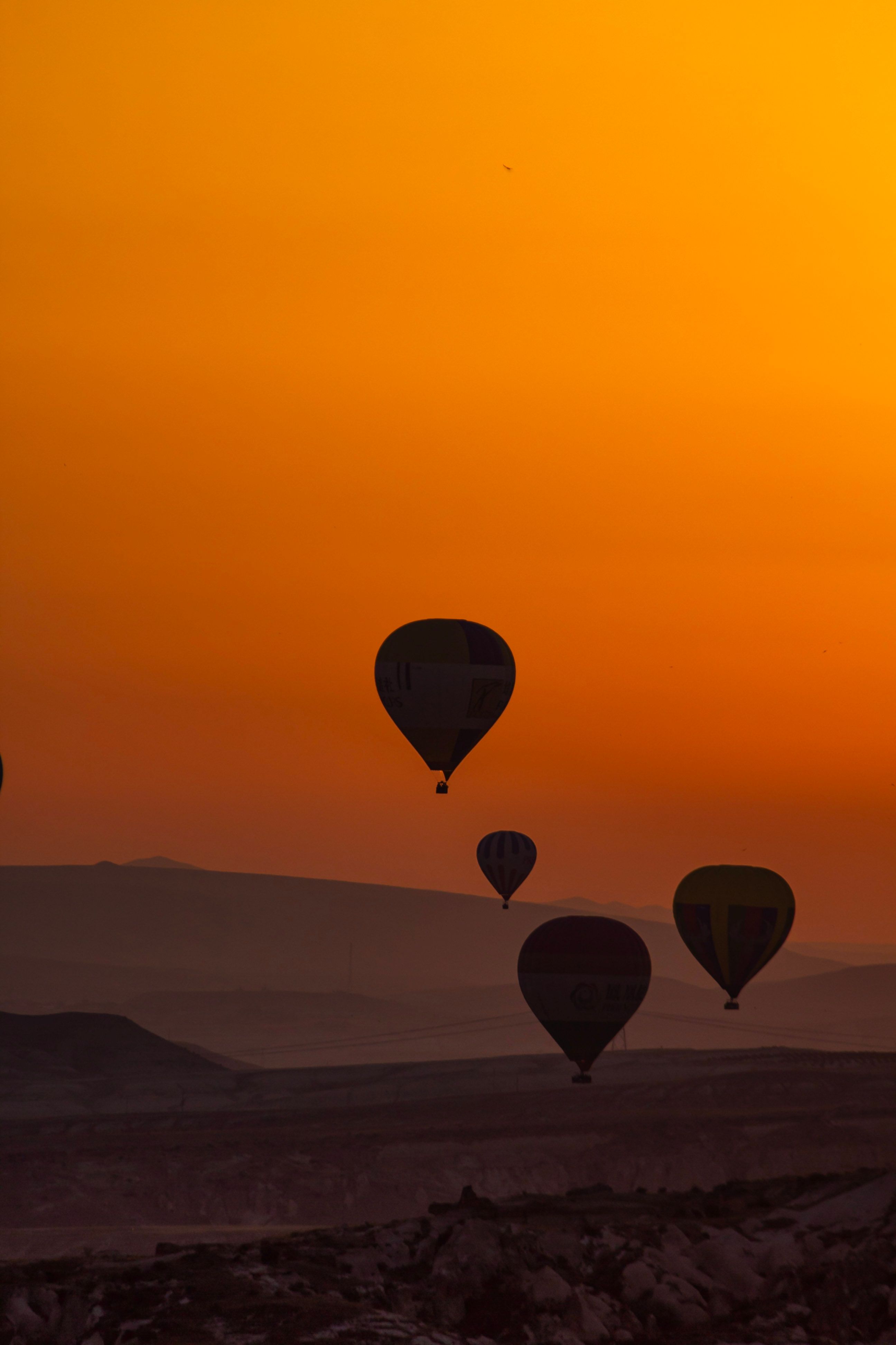 Ter Photos, Download The BEST Free Ter Stock Photos & HD Images