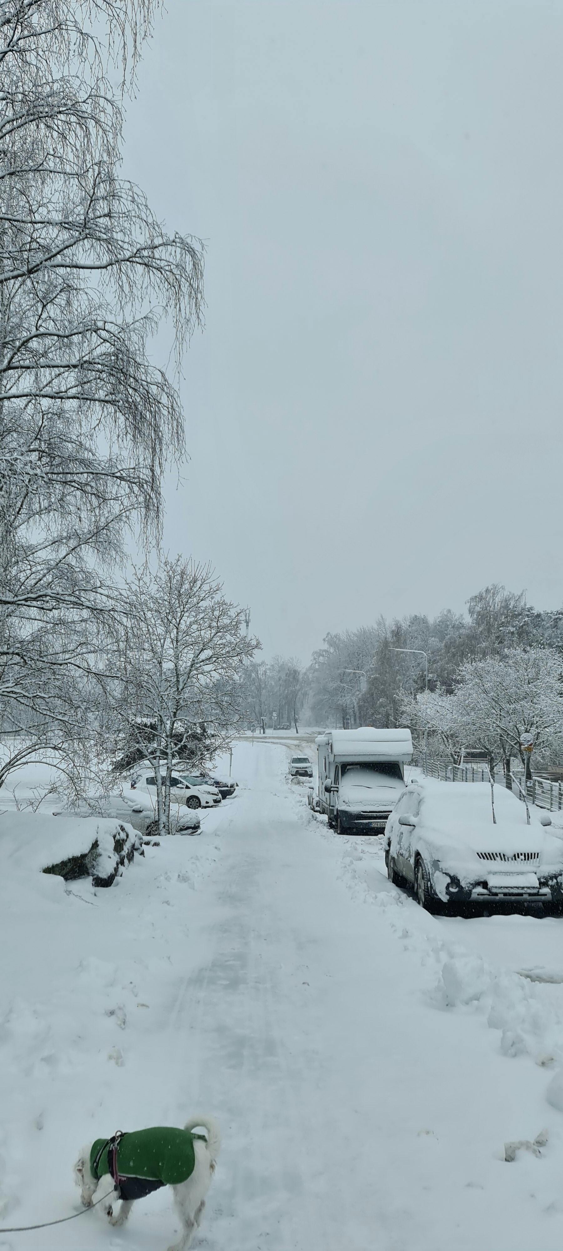 Huldi Muuri - Photography