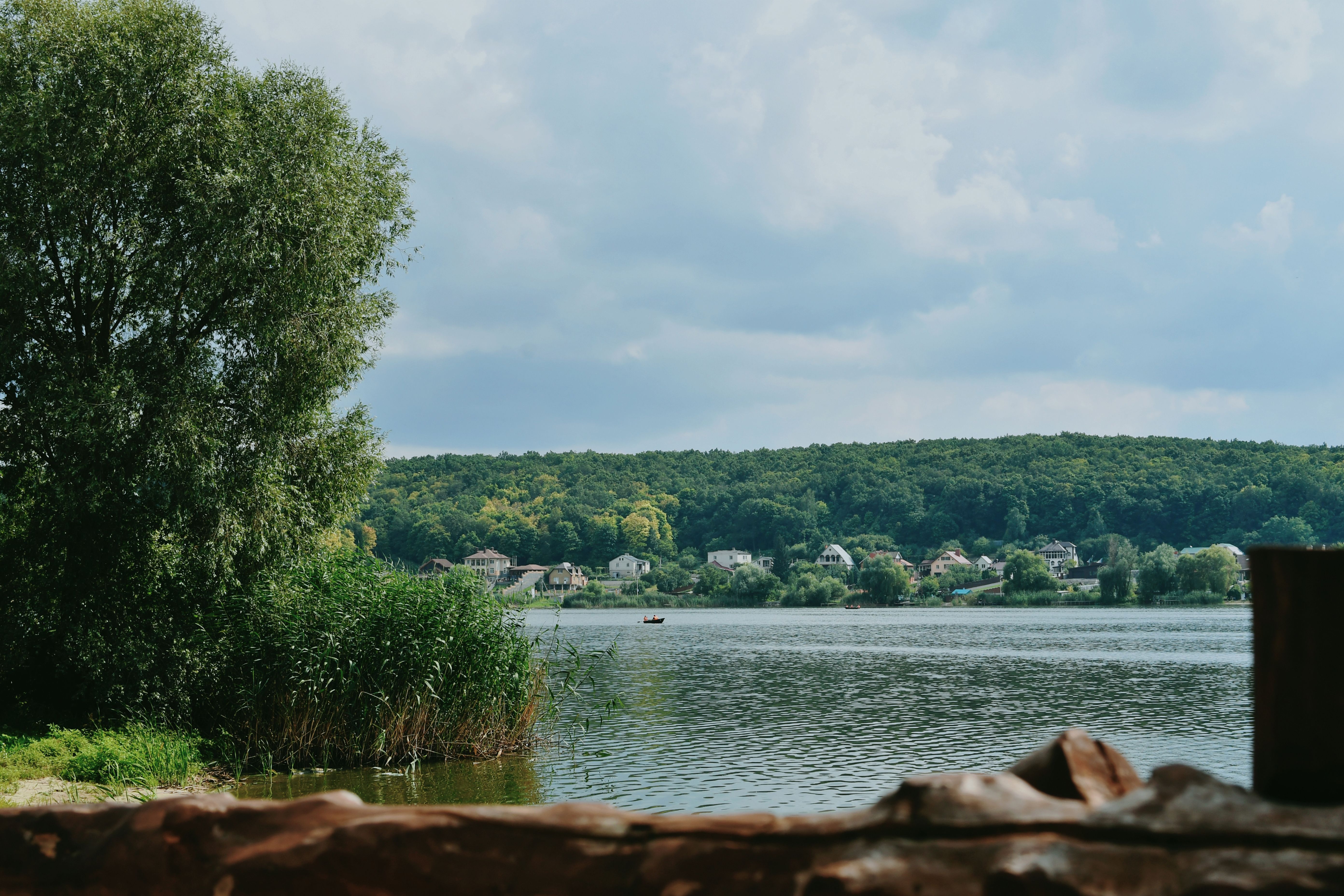 A lake with trees and houses in the distance · Free Stock Photo