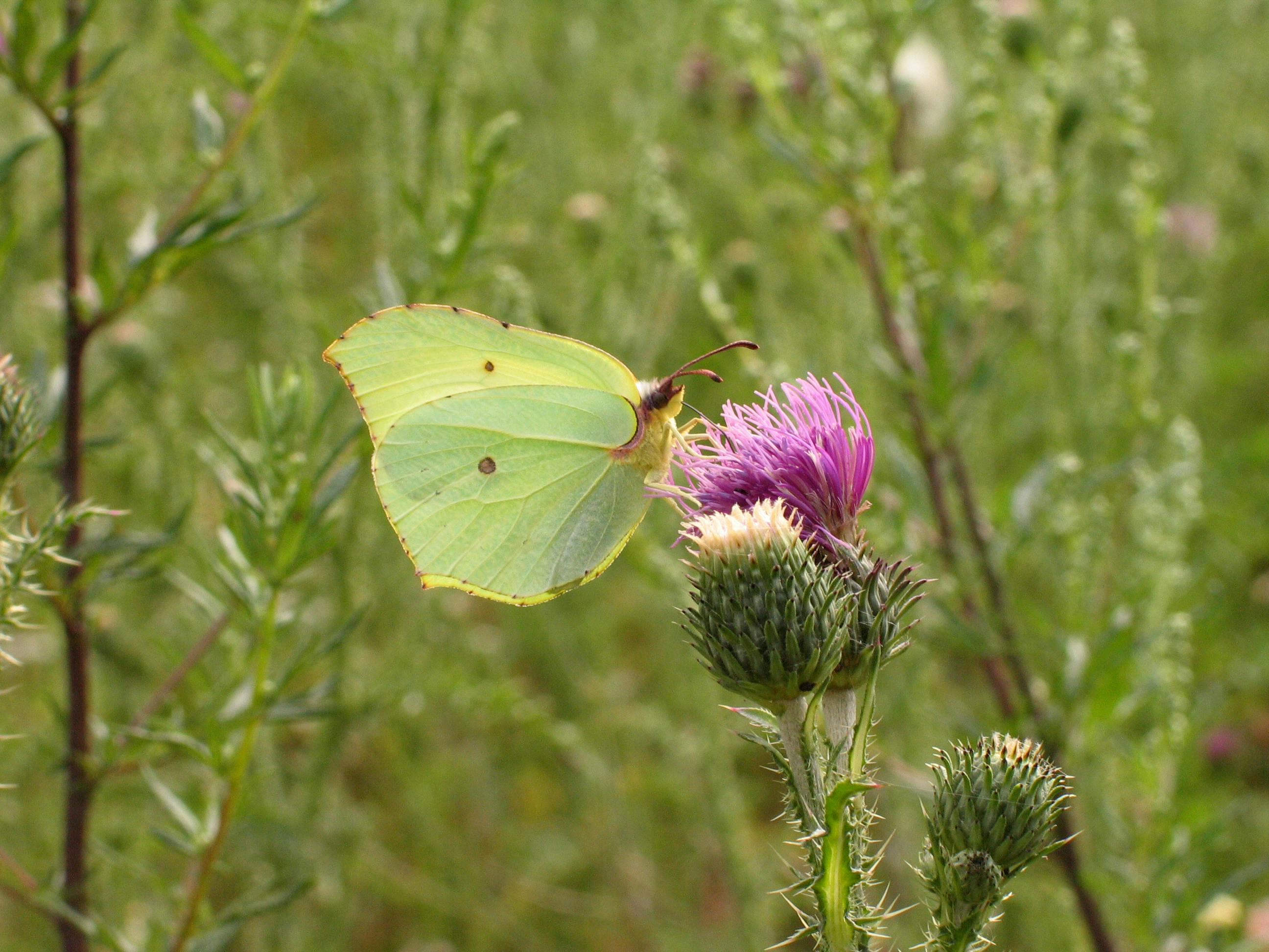 Rezerwat Przyroda Photos, Download The BEST Free Rezerwat Przyroda ...