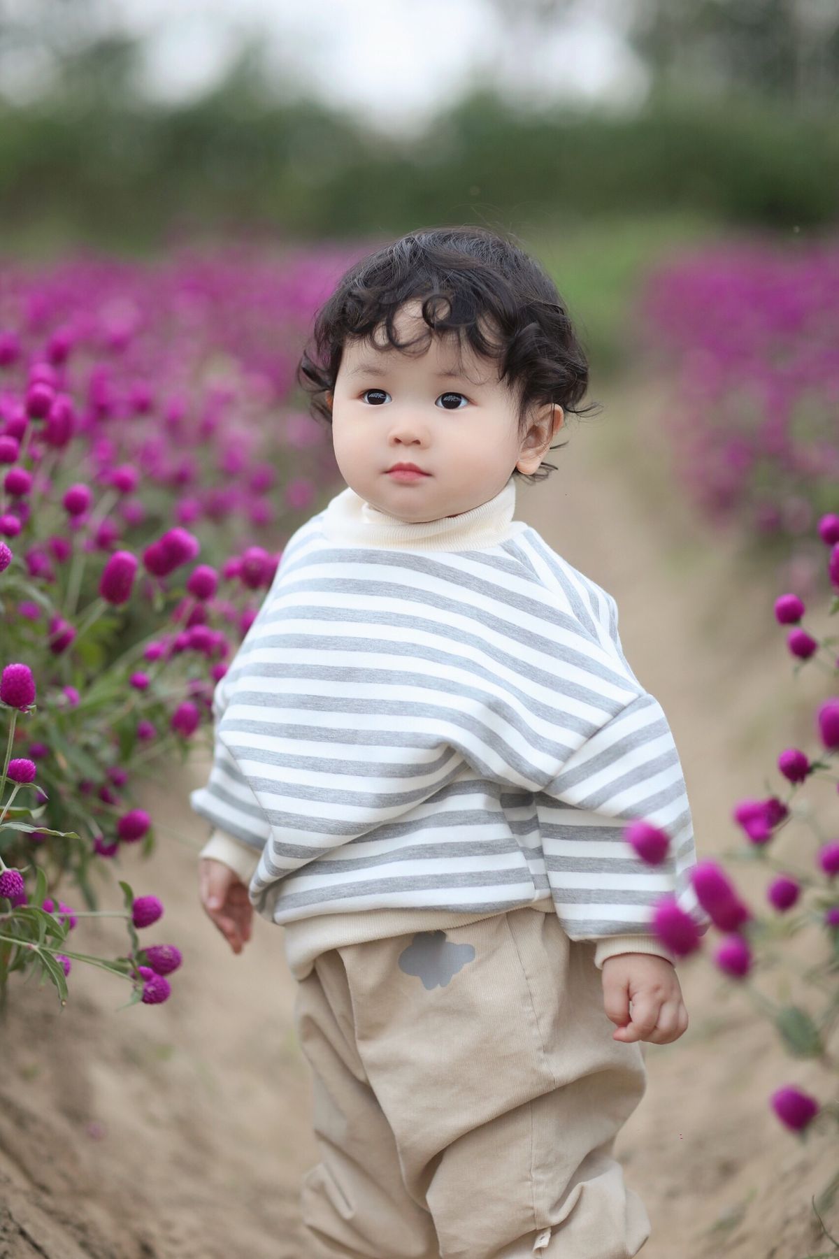 Lavender Portrait Photos, Download The BEST Free Lavender Portrait ...