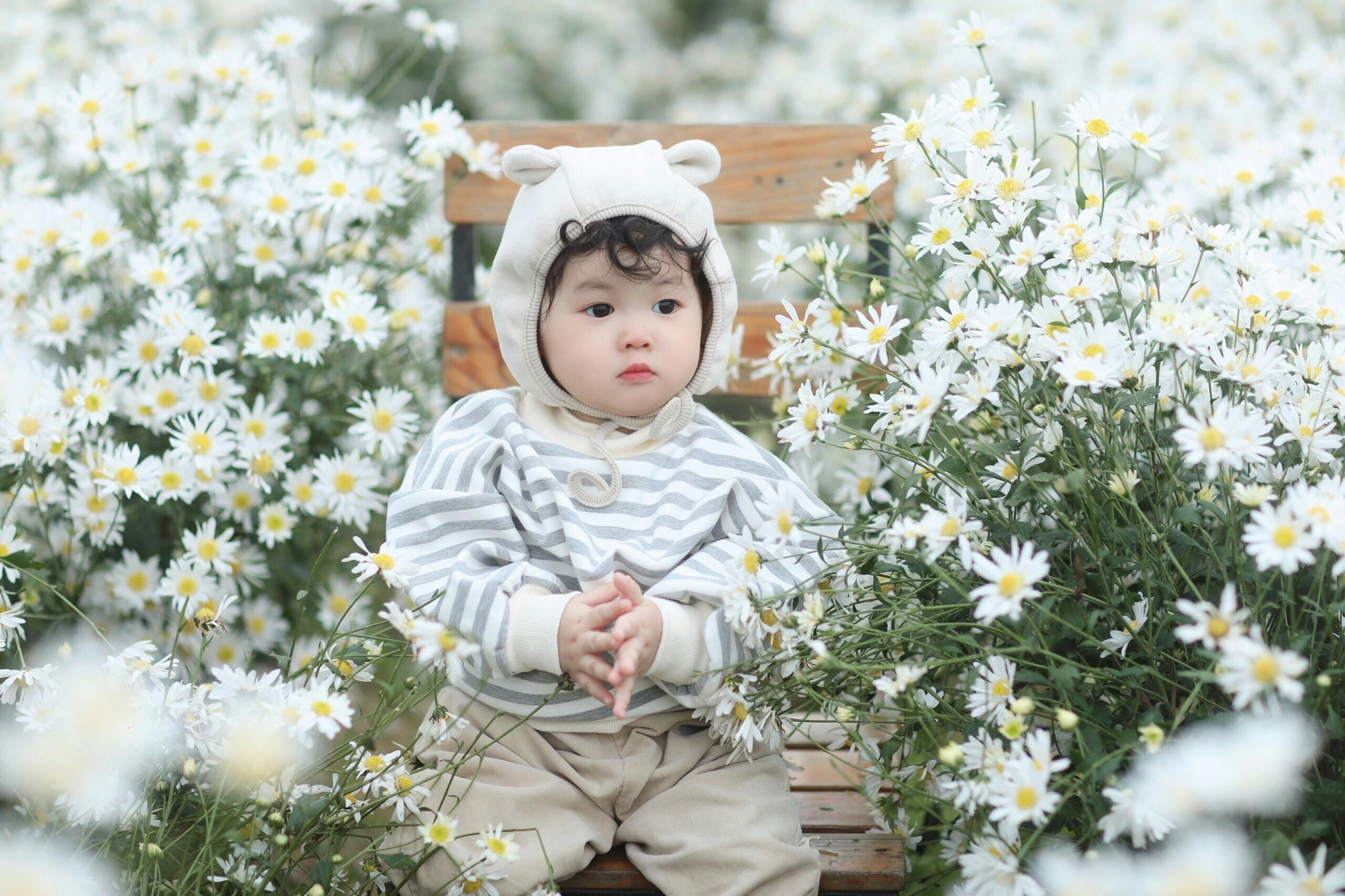 Cuc Cuci Photos, Download The BEST Free Cuc Cuci Stock Photos & HD Images