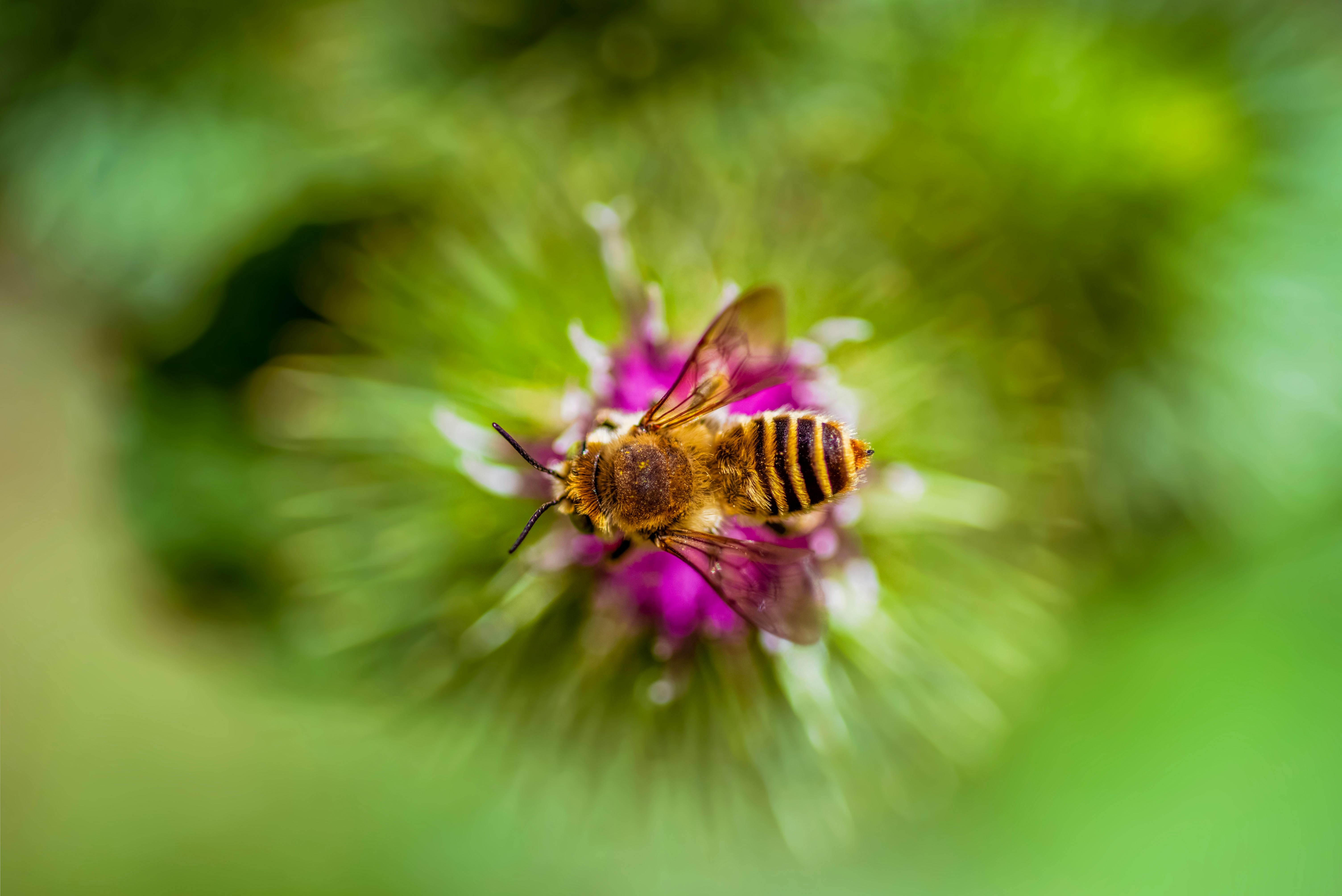 70.000+ Foto 4kgtavice Wallpaper Terbaik · Unduh Gratis 100% · Foto ...