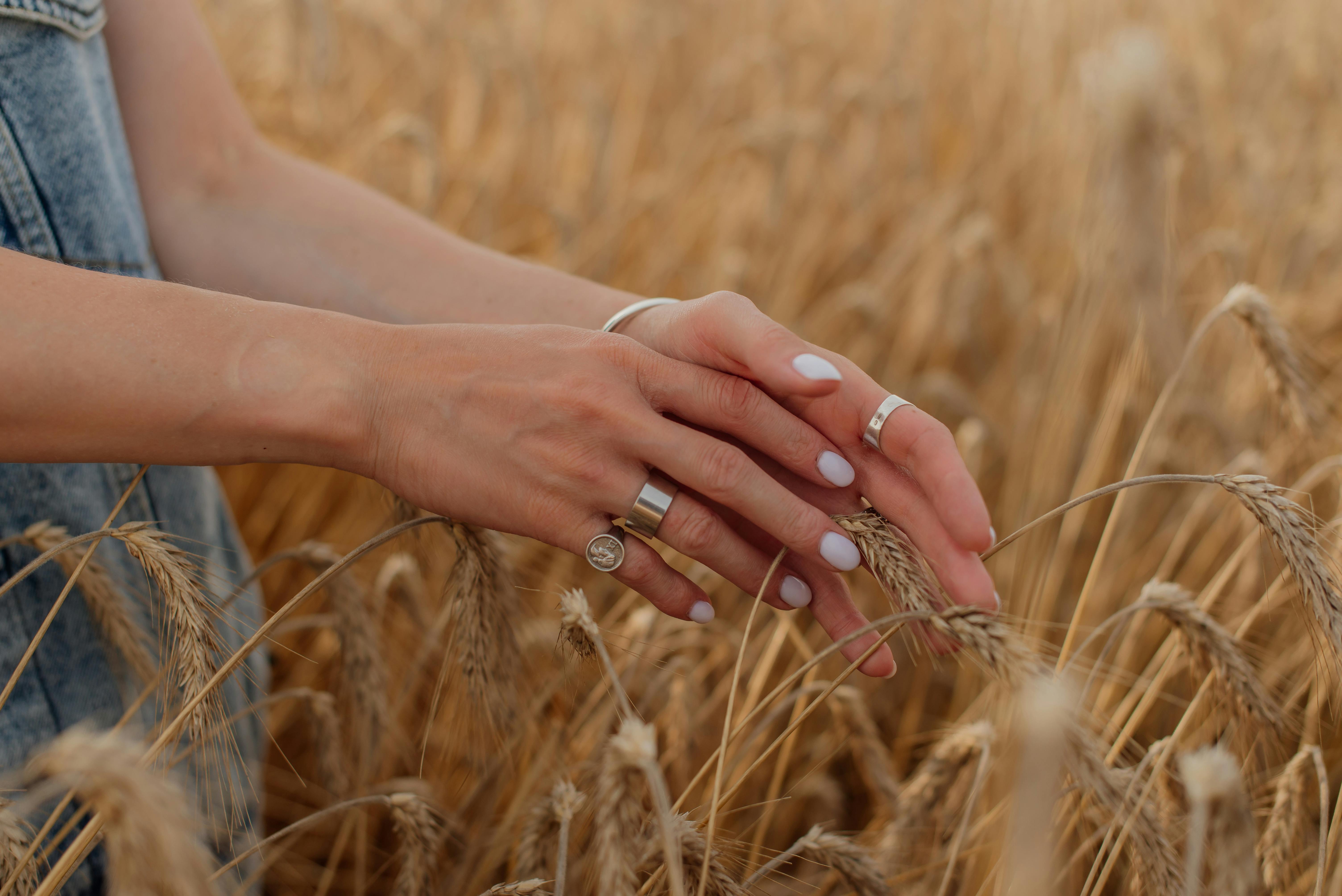 Woman Hands over Grain · Free Stock Photo