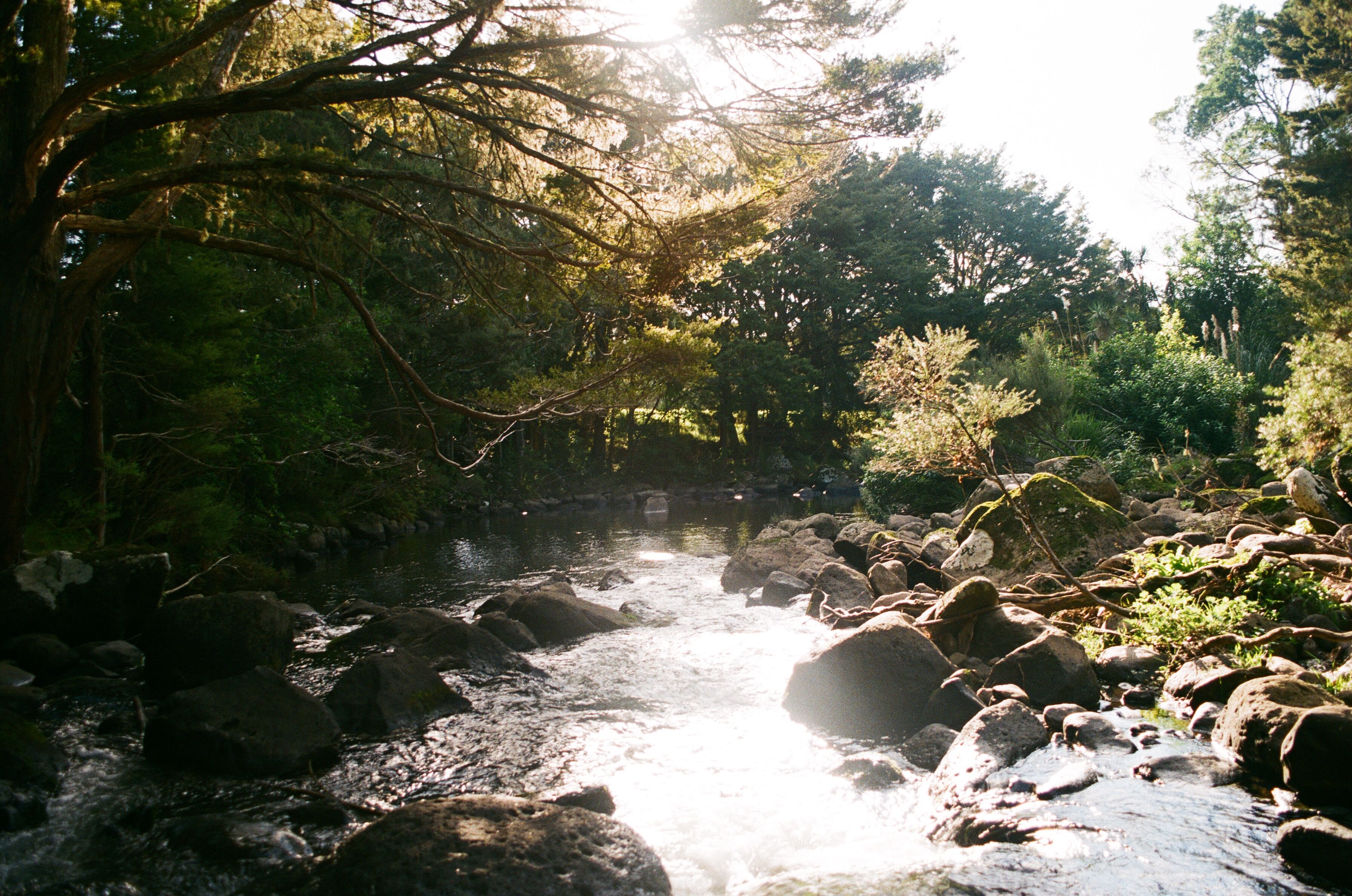 A stream running through a forest with rocks and trees · Free Stock Photo