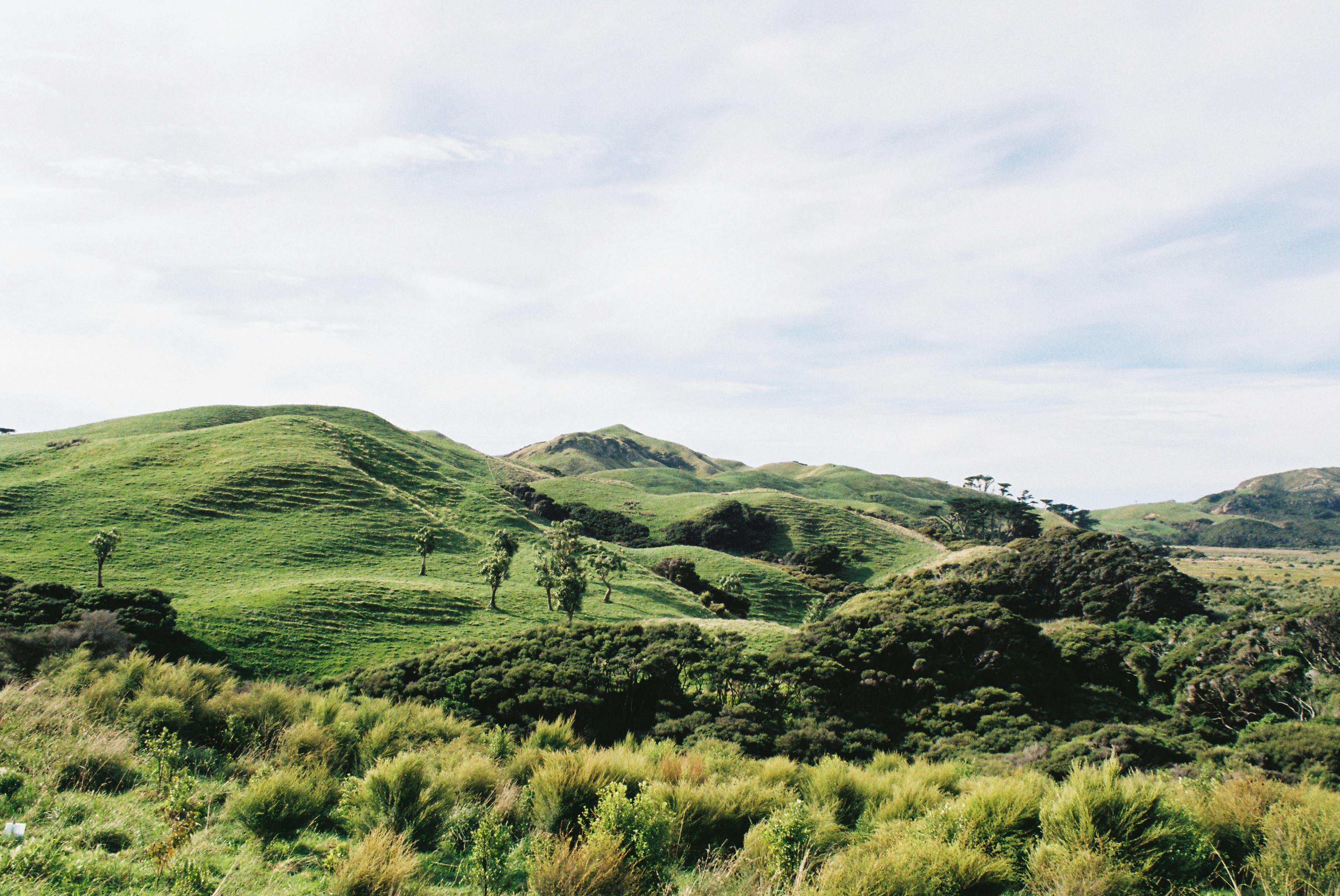Landscape Photography of Green Hill · Free Stock Photo