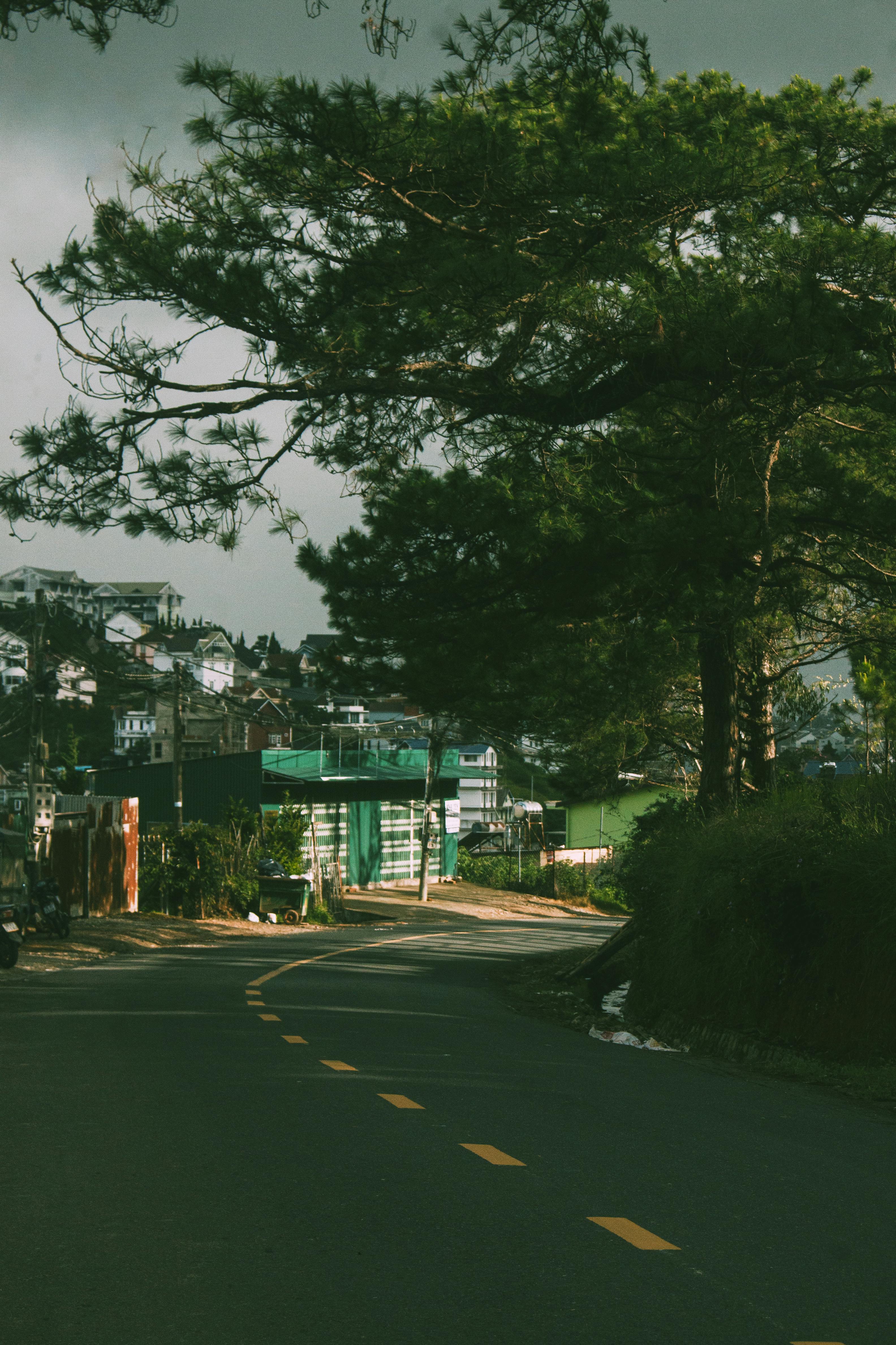 Road in Village · Free Stock Photo