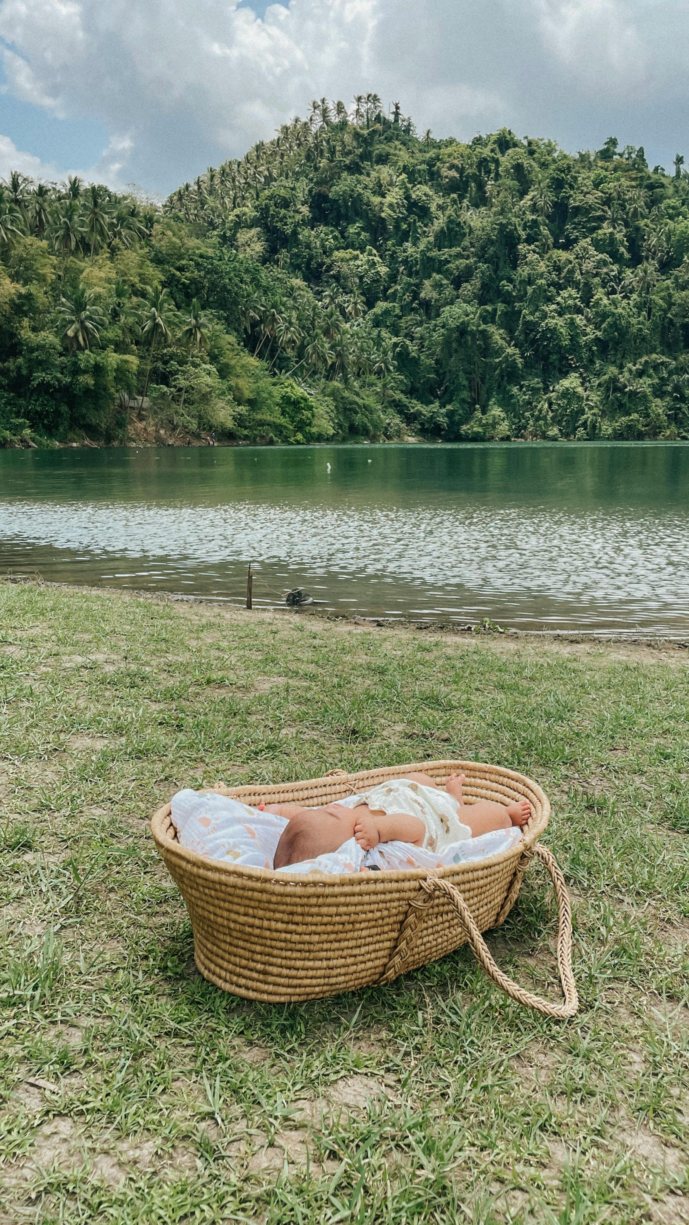 Basket with Baby on Lakeshore · Free Stock Photo