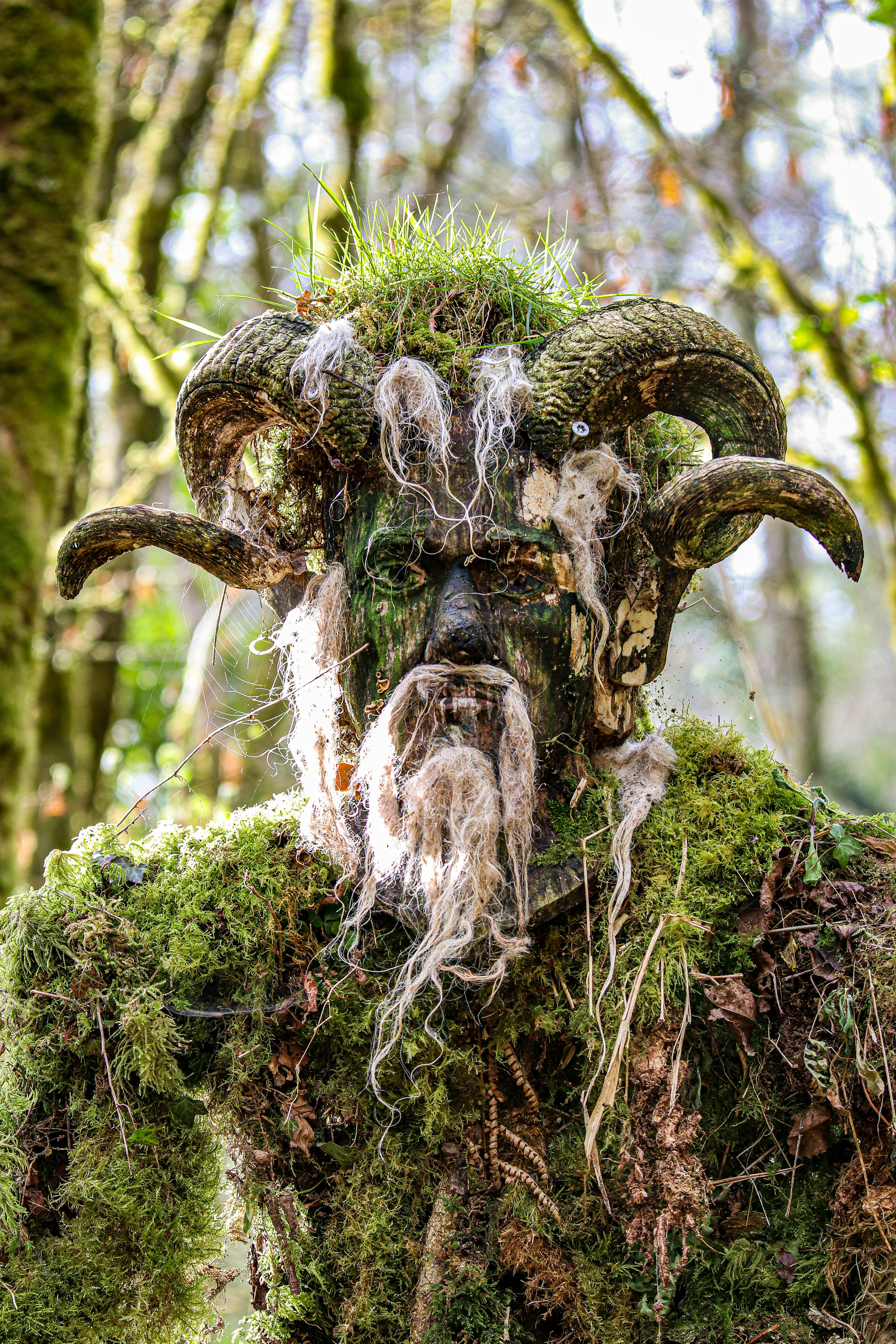 Man in a Costume Made of Earth and Moss · Free Stock Photo