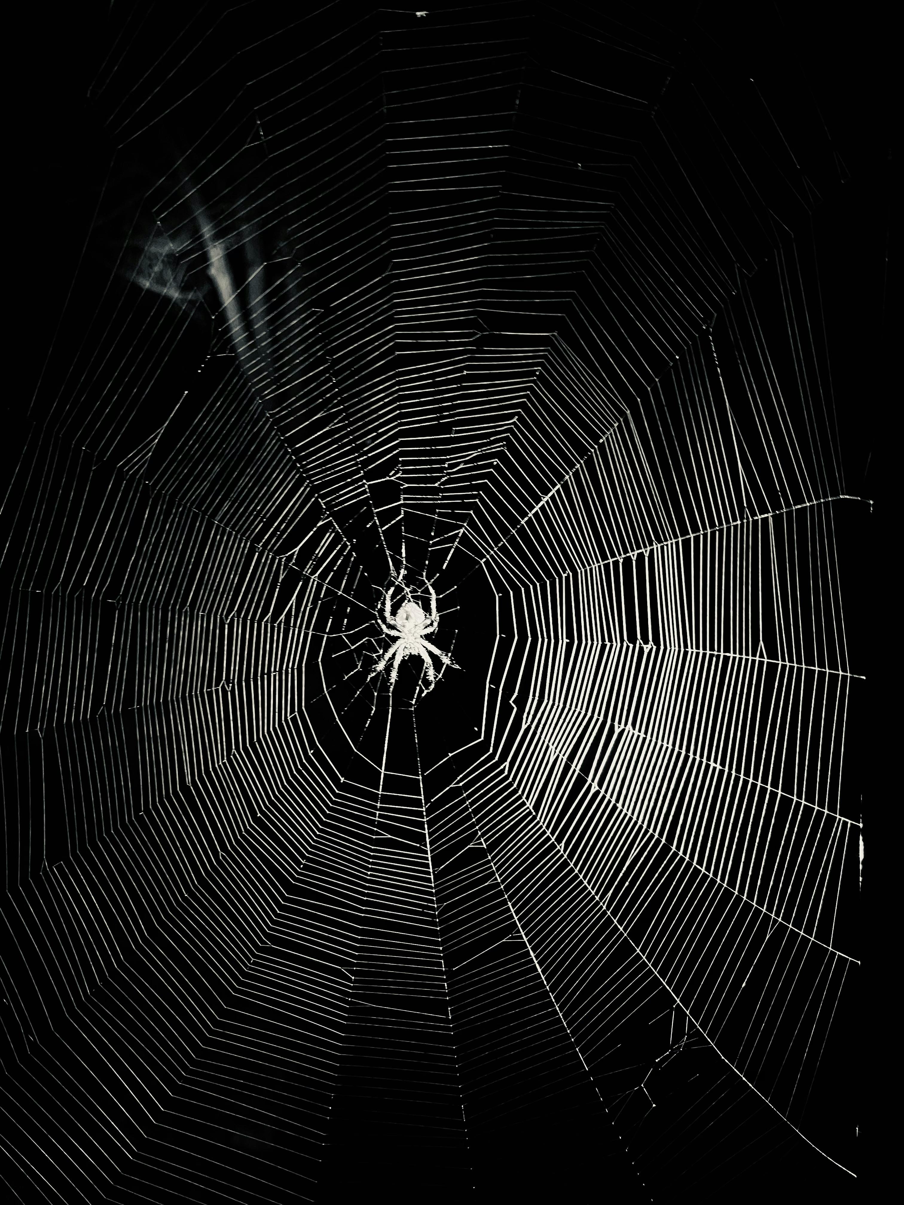 Christy B - การถ่ายภาพ