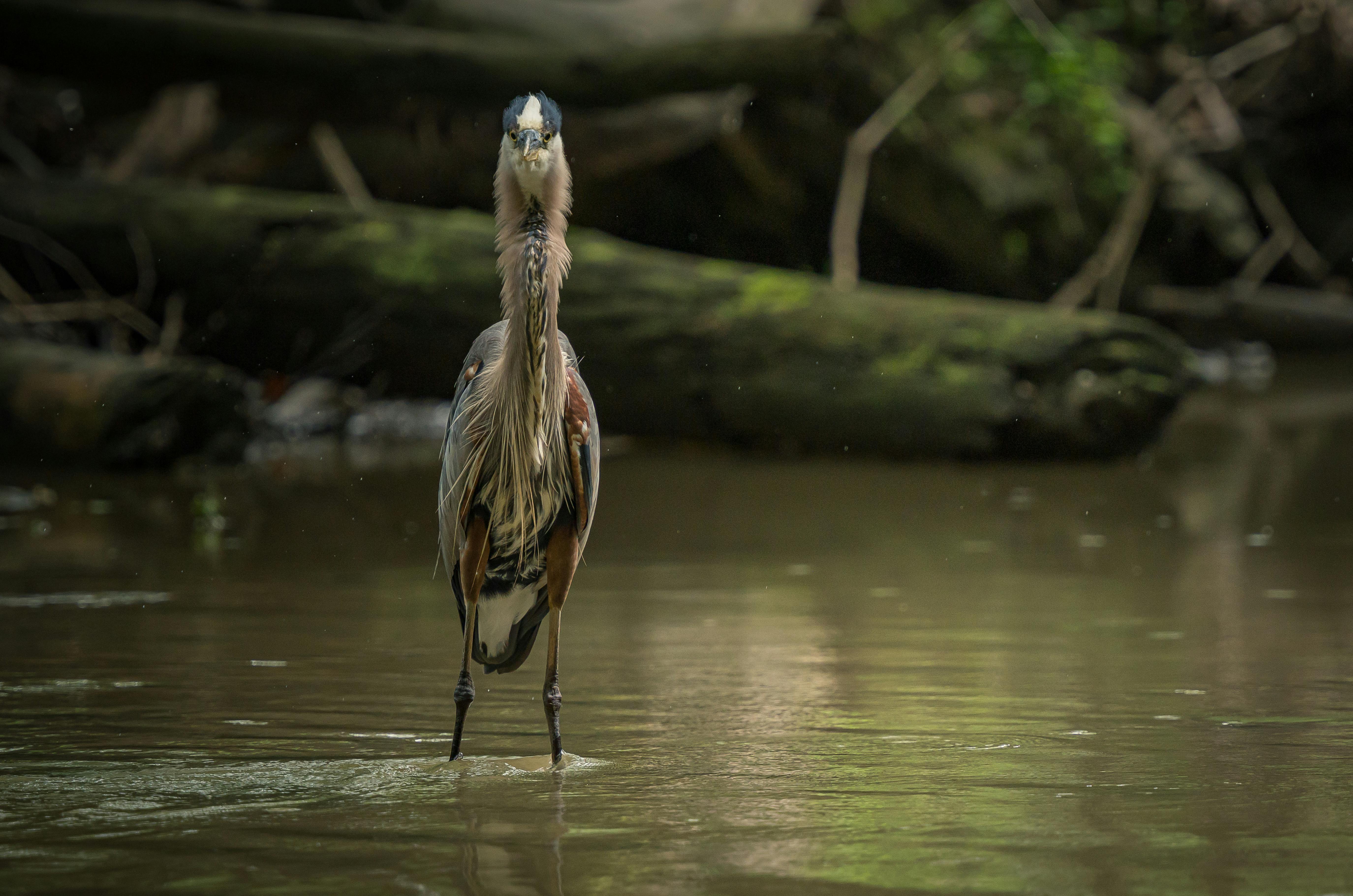 Pond Retting Photos, Download The BEST Free Pond Retting Stock Photos ...