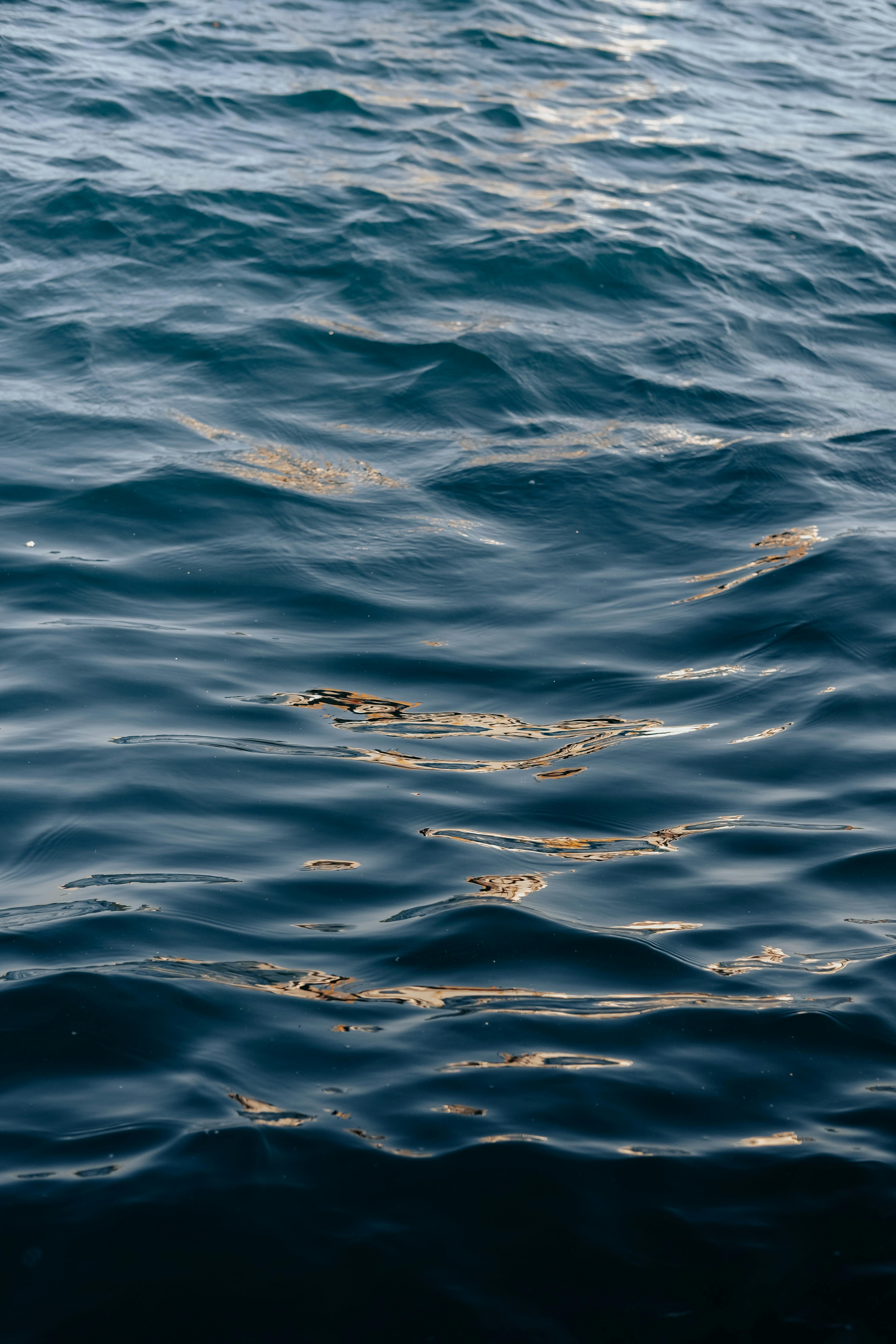 Wavy Water Surface · Free Stock Photo