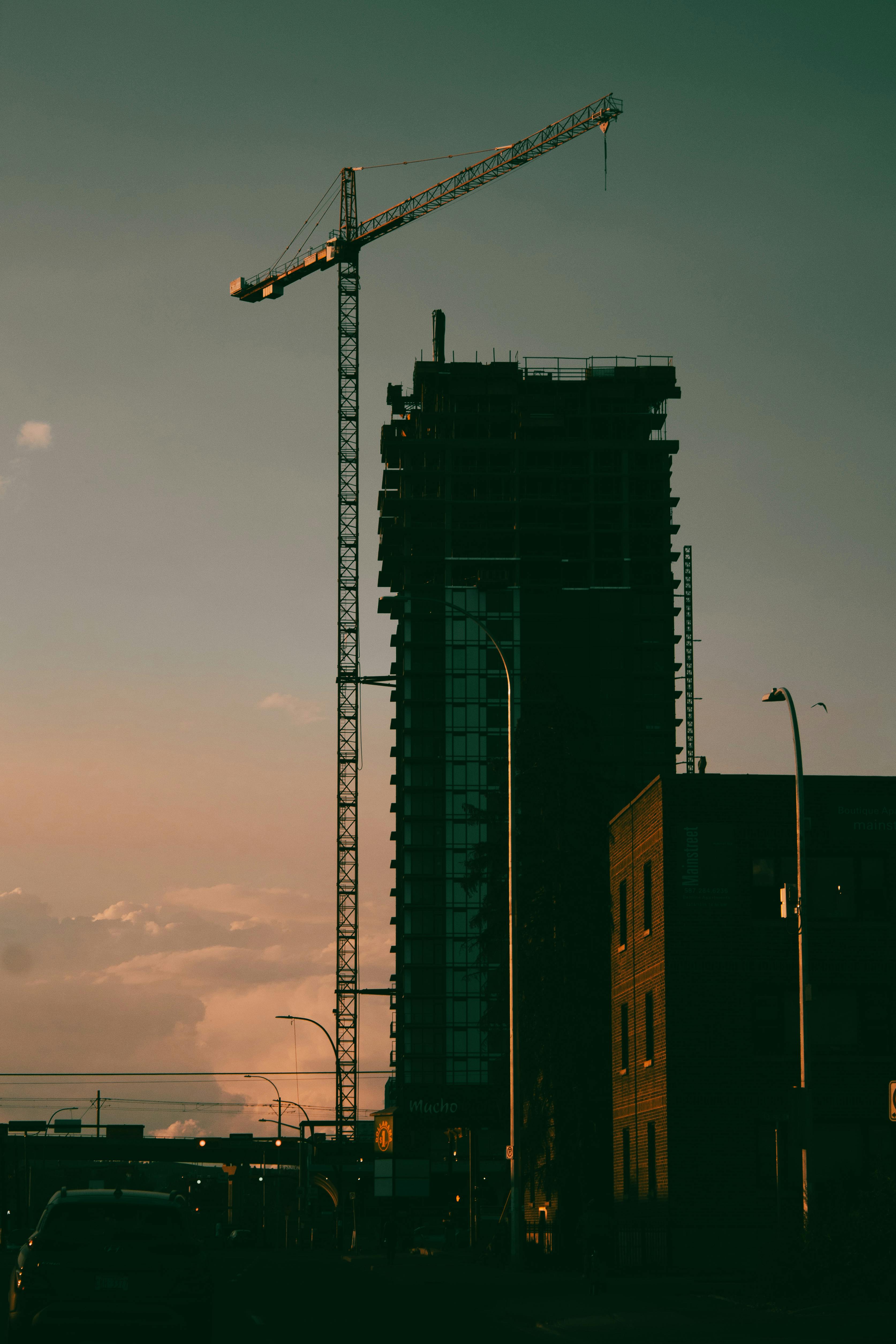 Luke Adamson - 写真