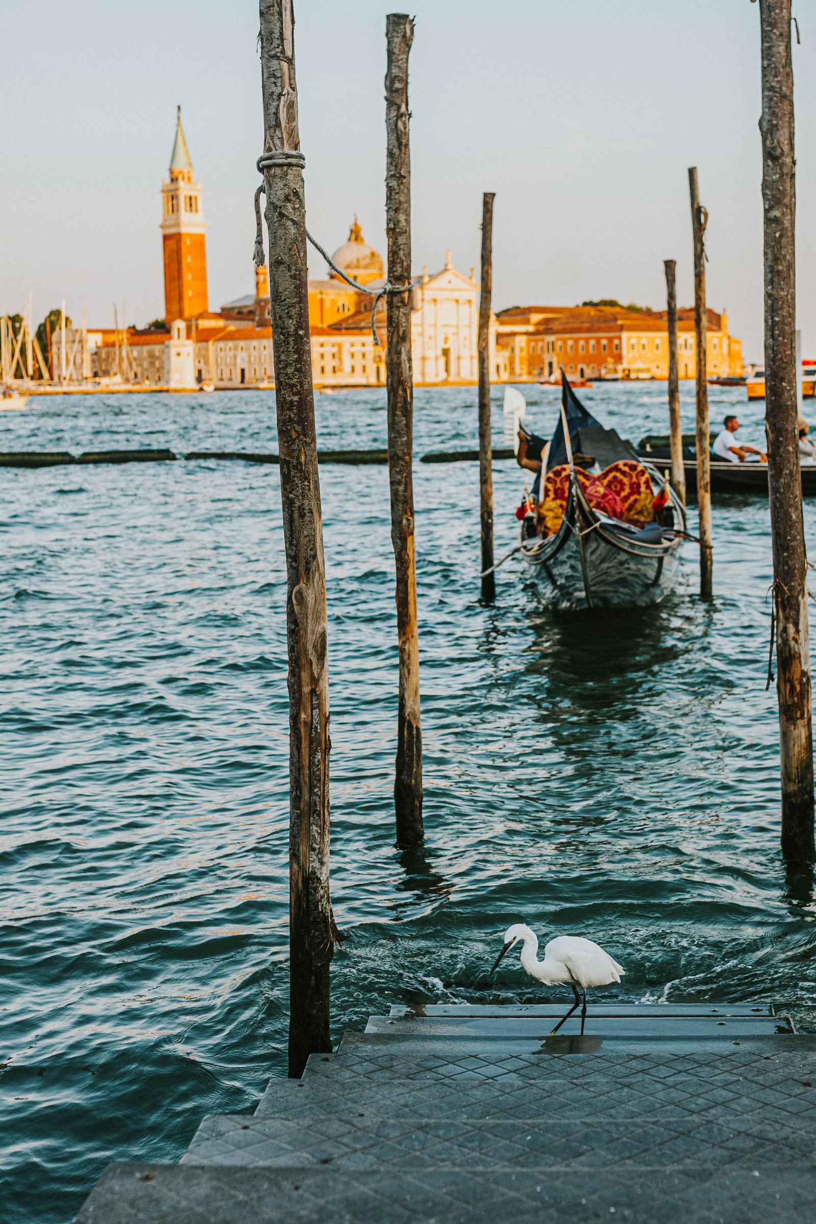 Venice Animation Photos, Download The BEST Free Venice Animation Stock ...