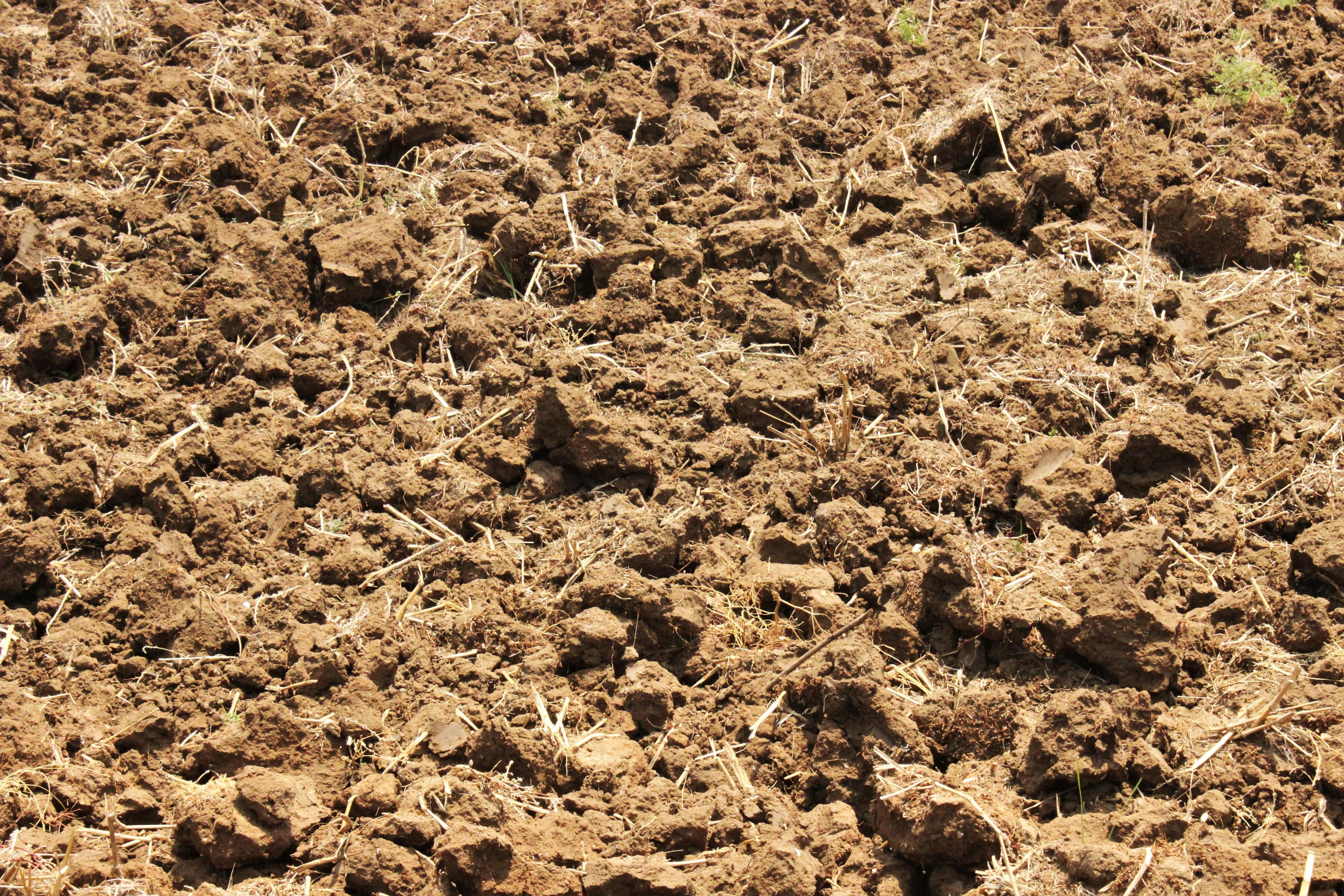 Close-up of Dry Soil · Free Stock Photo