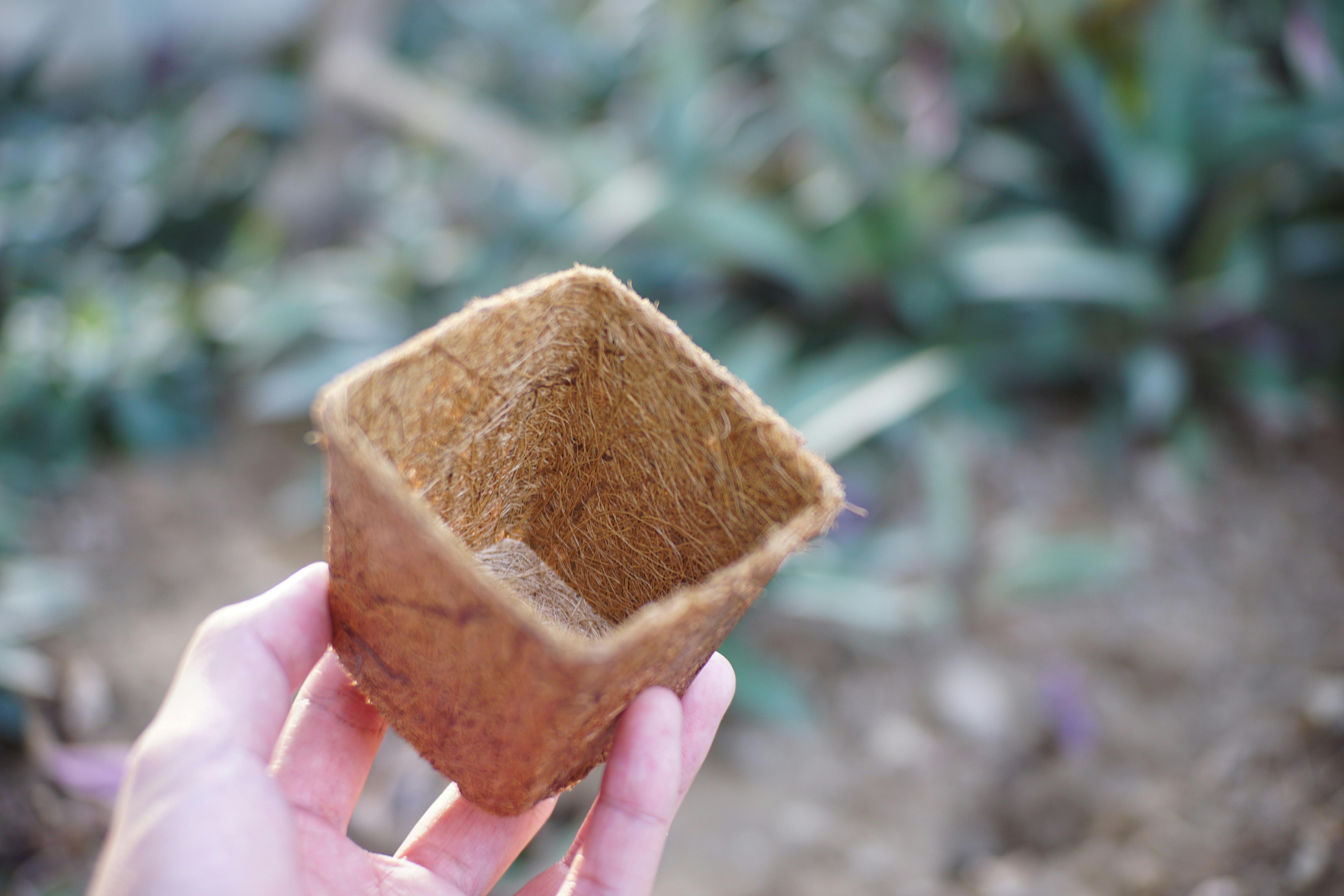 Man Holding a Little Bucket · Free Stock Photo