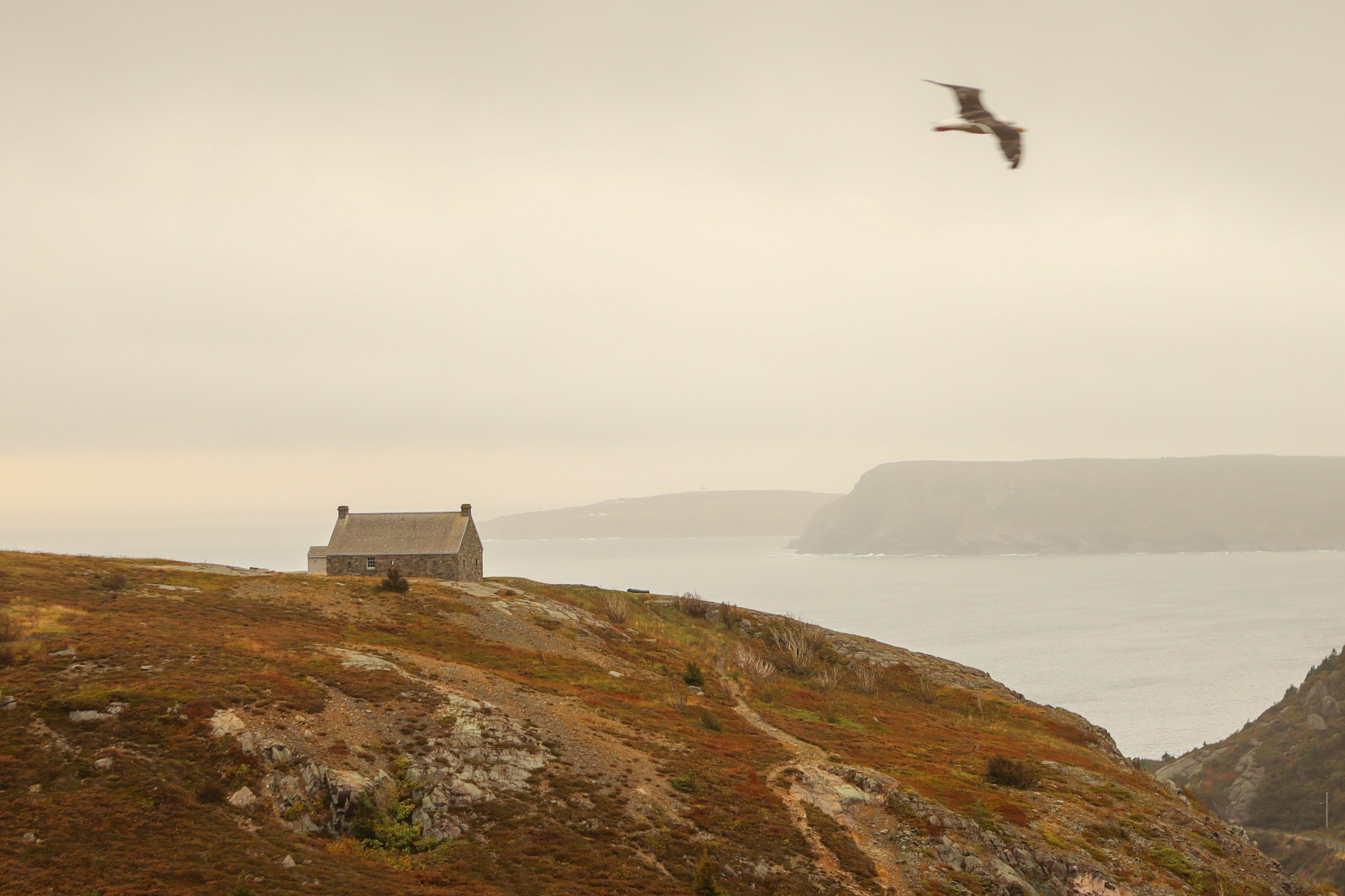Lonely Hut on a Cliff · Free Stock Photo