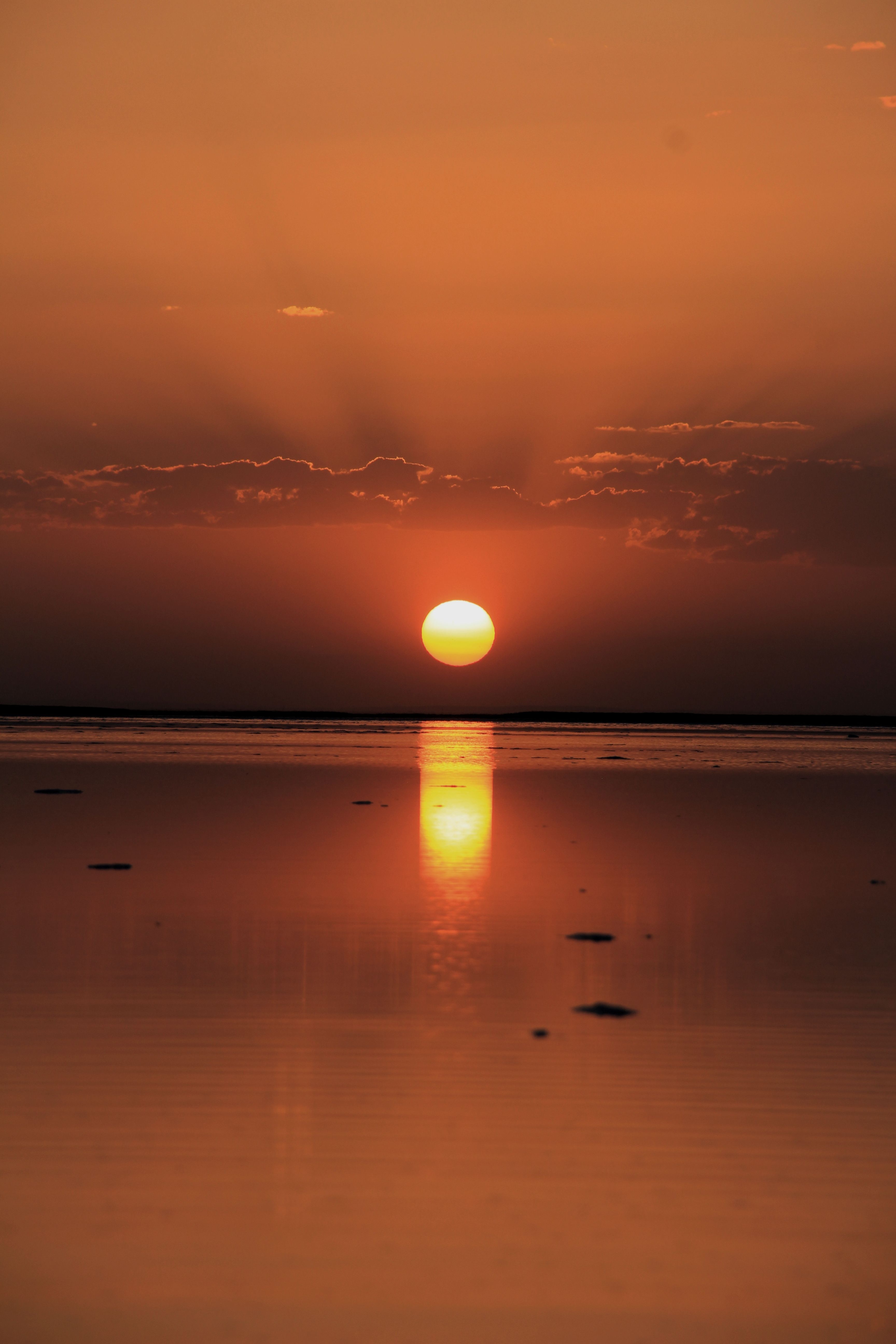 Scenic Sunset over the Lake · Free Stock Photo