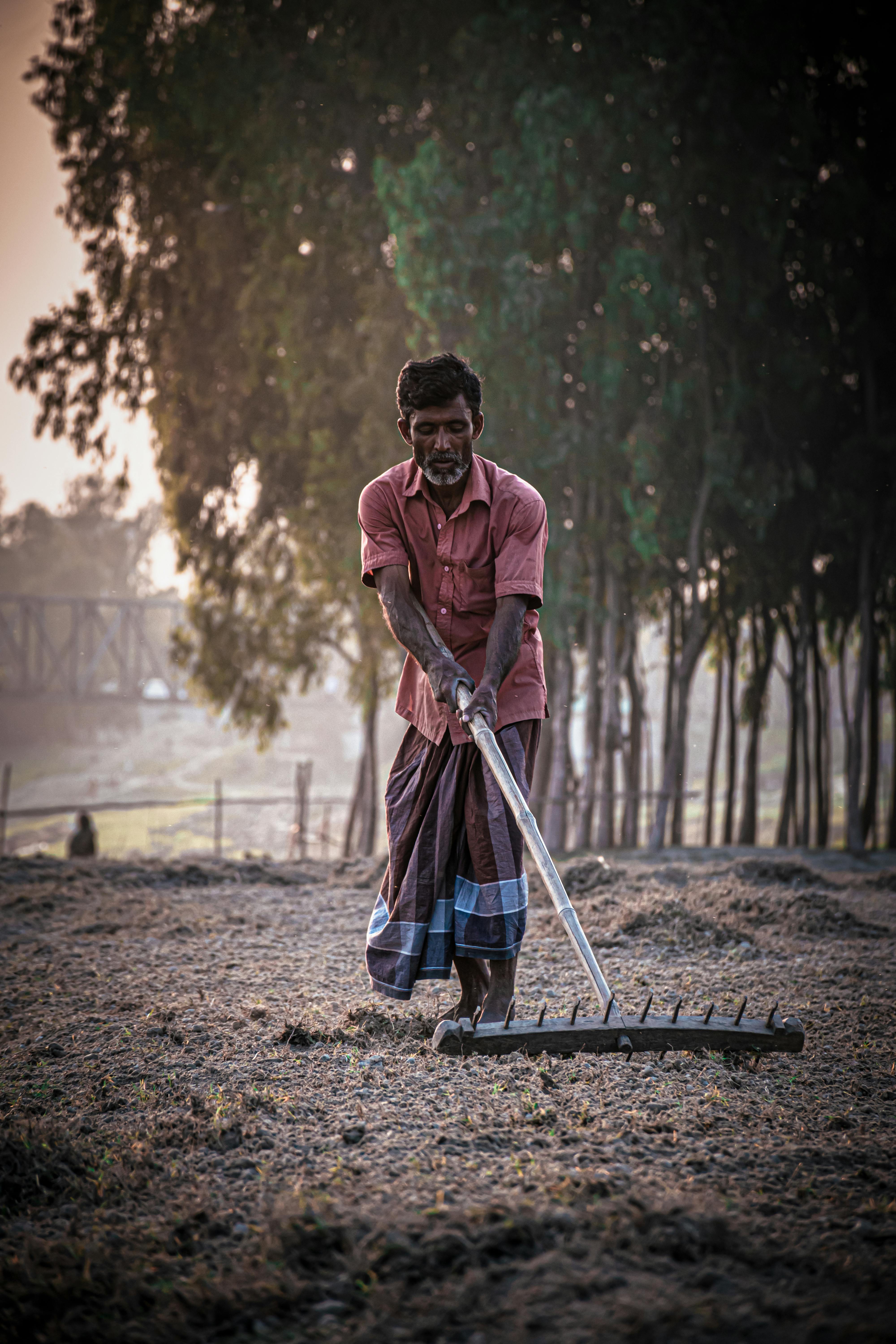 Man holding sword while standing on field · Free Stock Photo