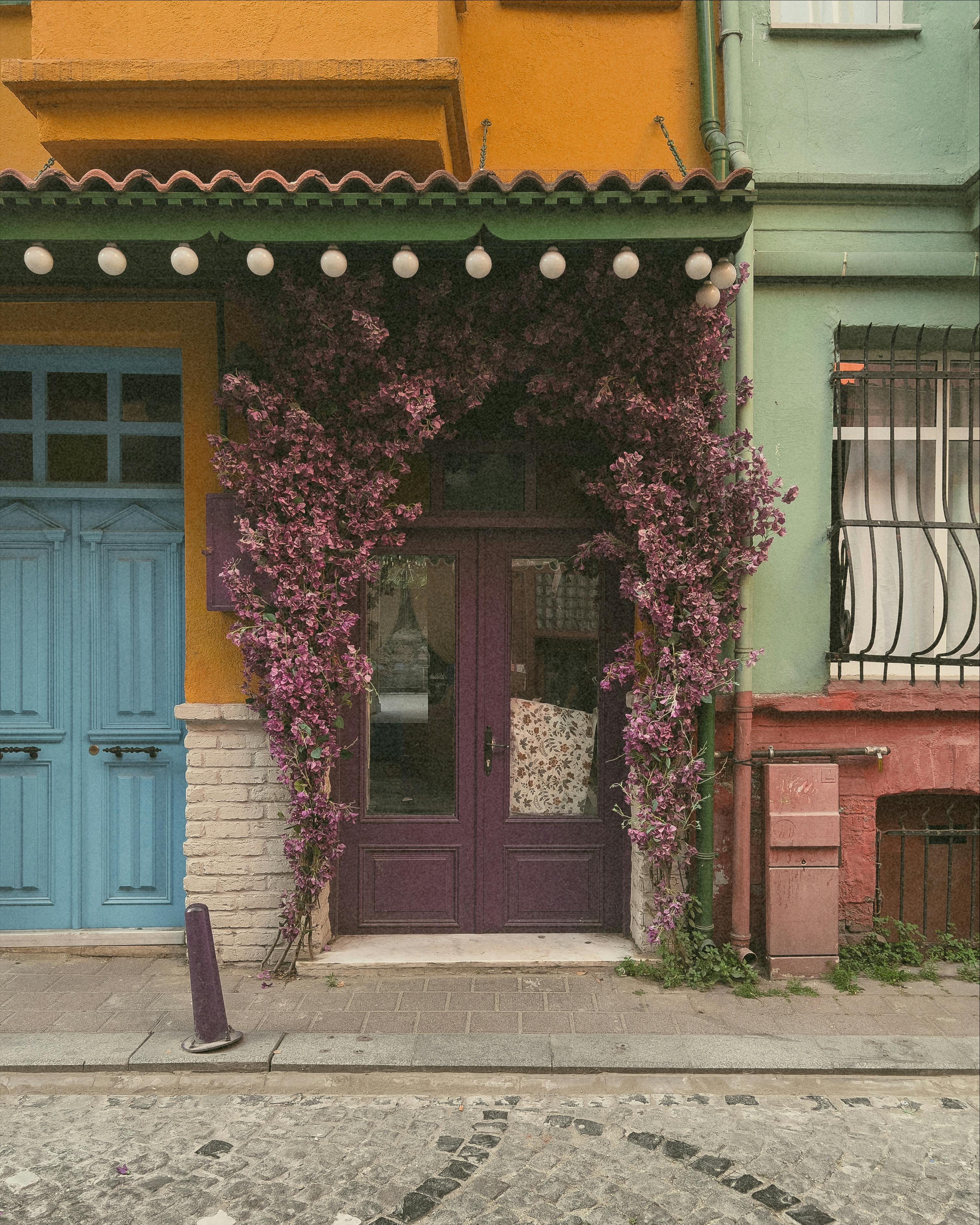 Blossoming Shrub around House Door · Free Stock Photo