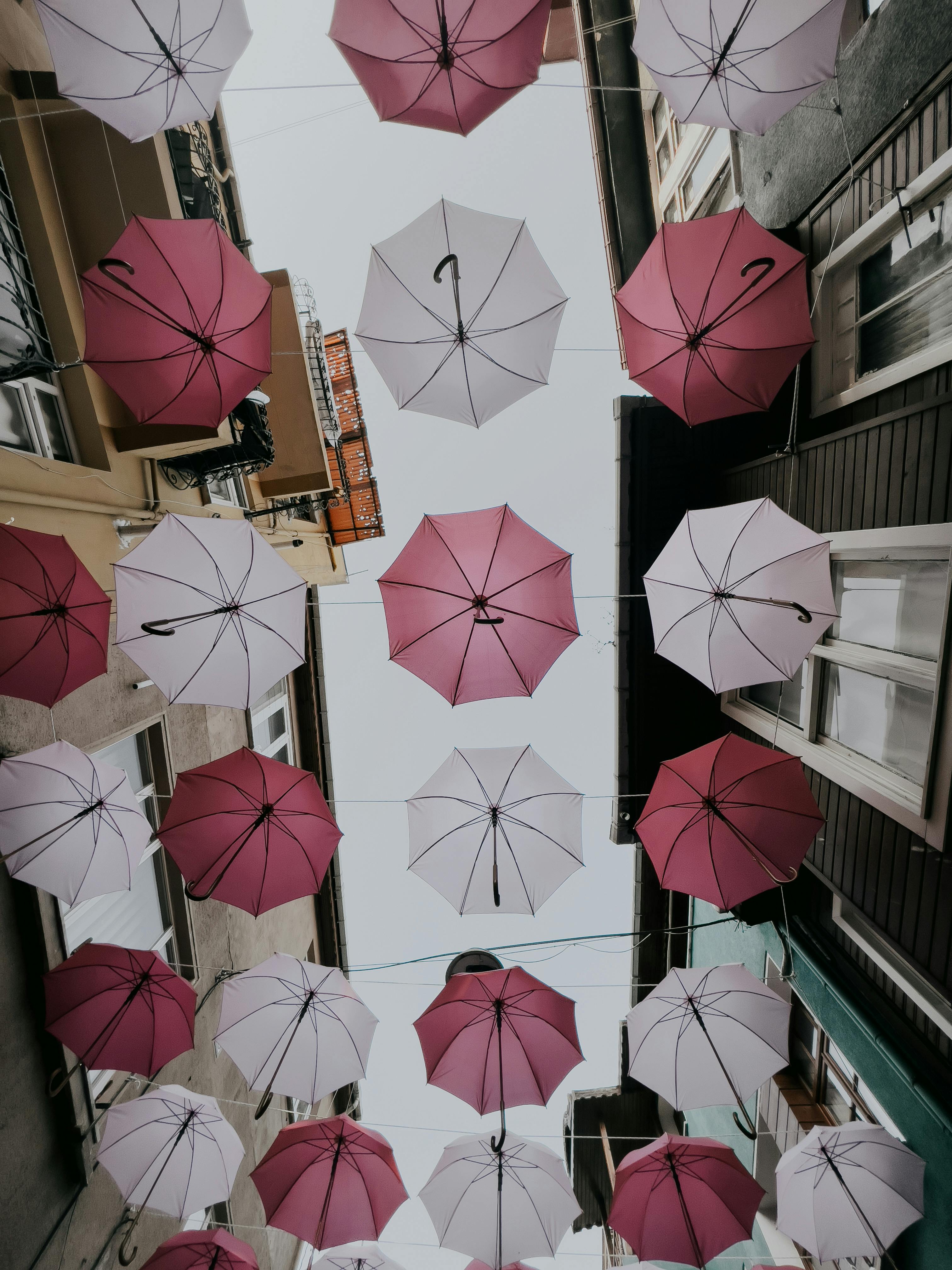 Umbrellas over Street between Houses · Free Stock Photo
