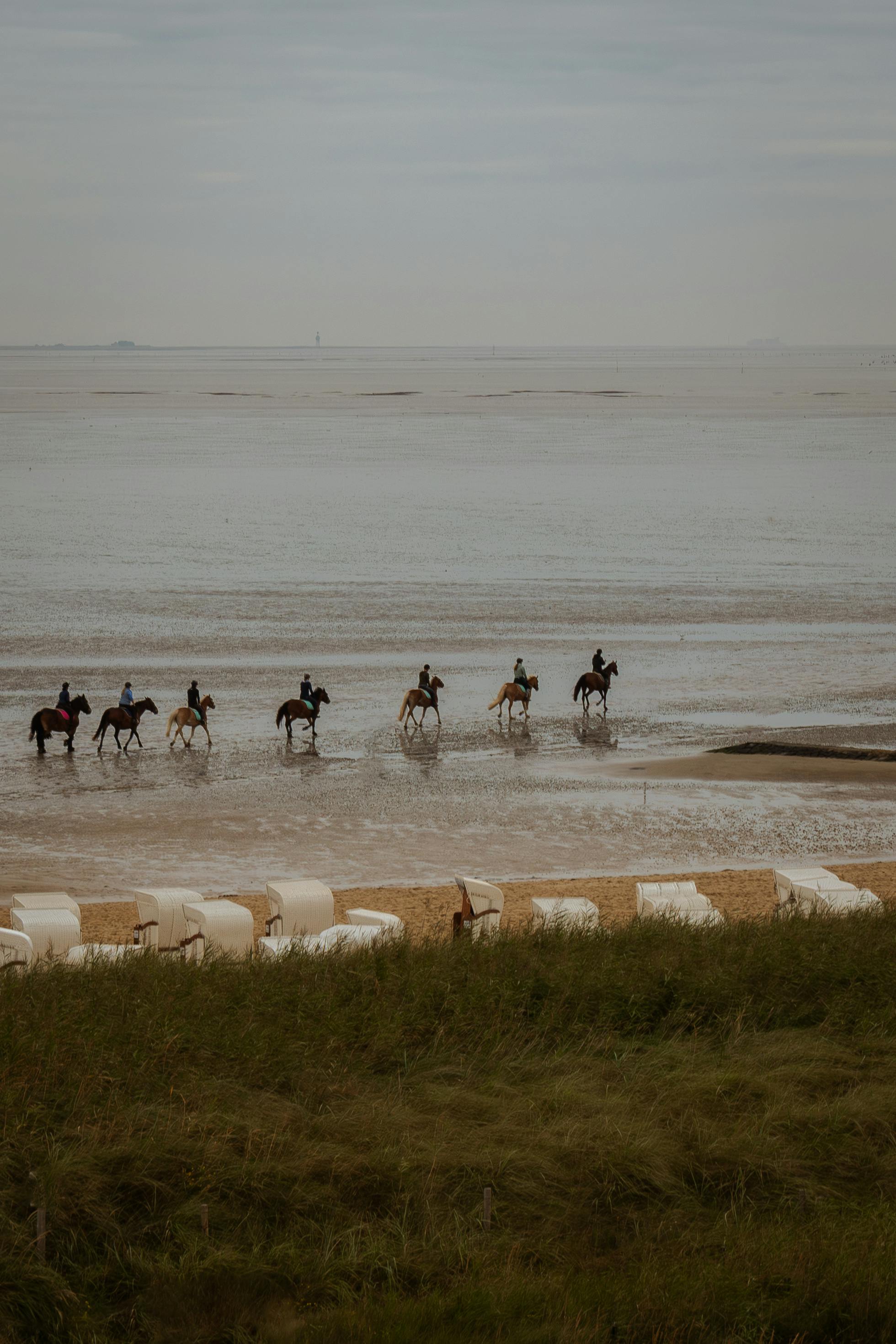 People Riding Horses on Sea Coast · Free Stock Photo