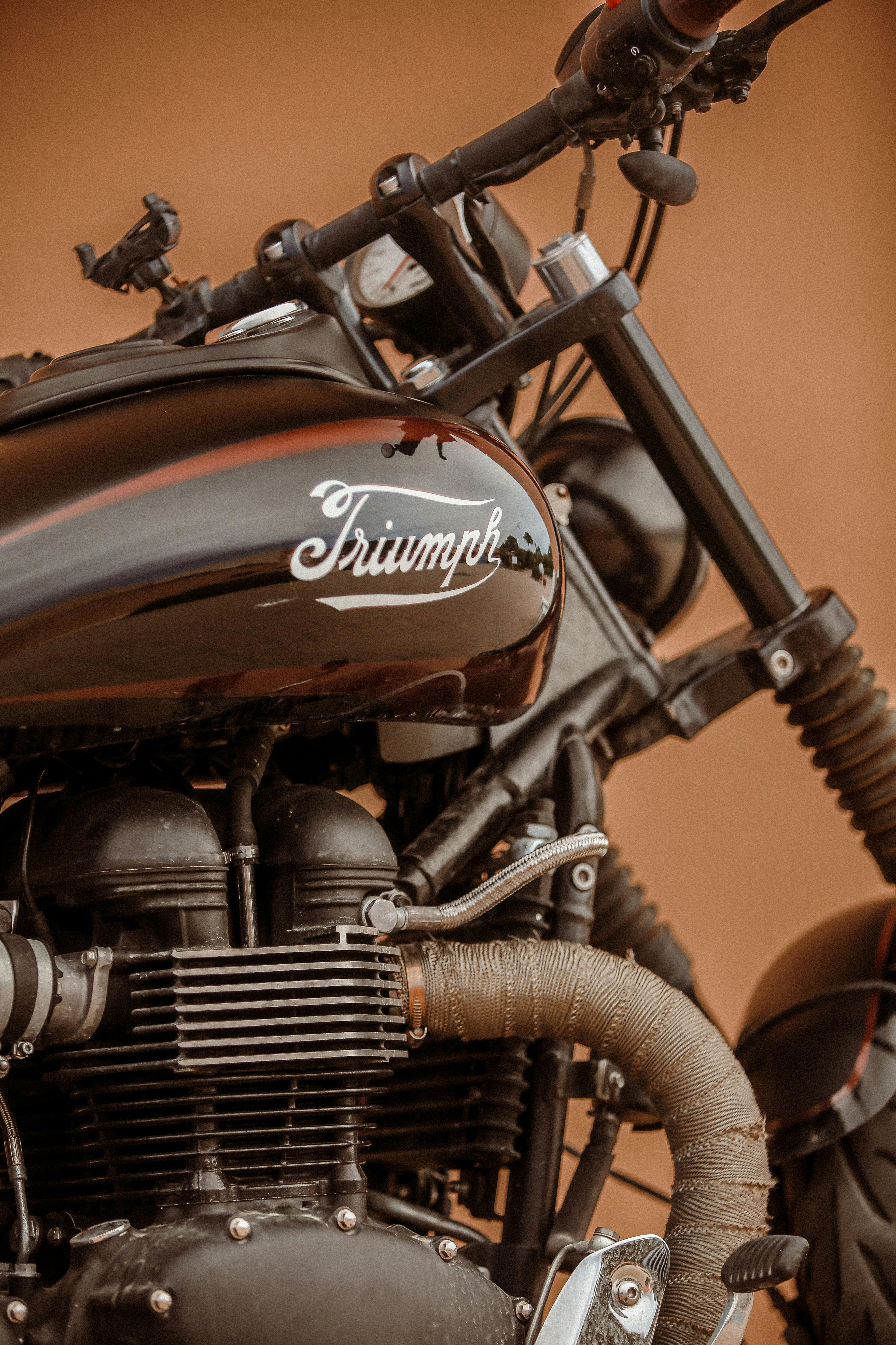 Triumph · Free Stock Photo
