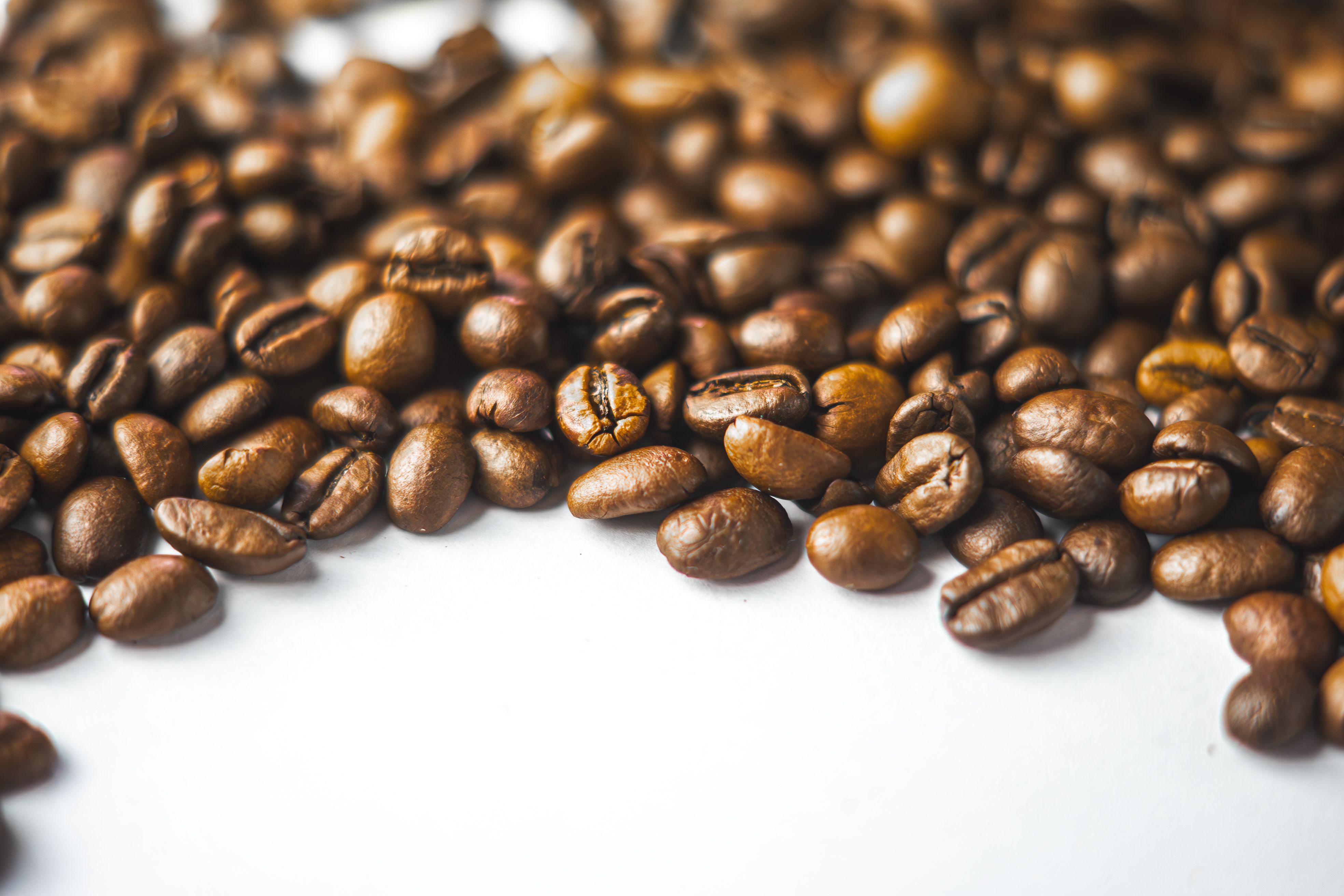 Coffee Shop White Background Photos, Download The BEST Free Coffee Shop ...