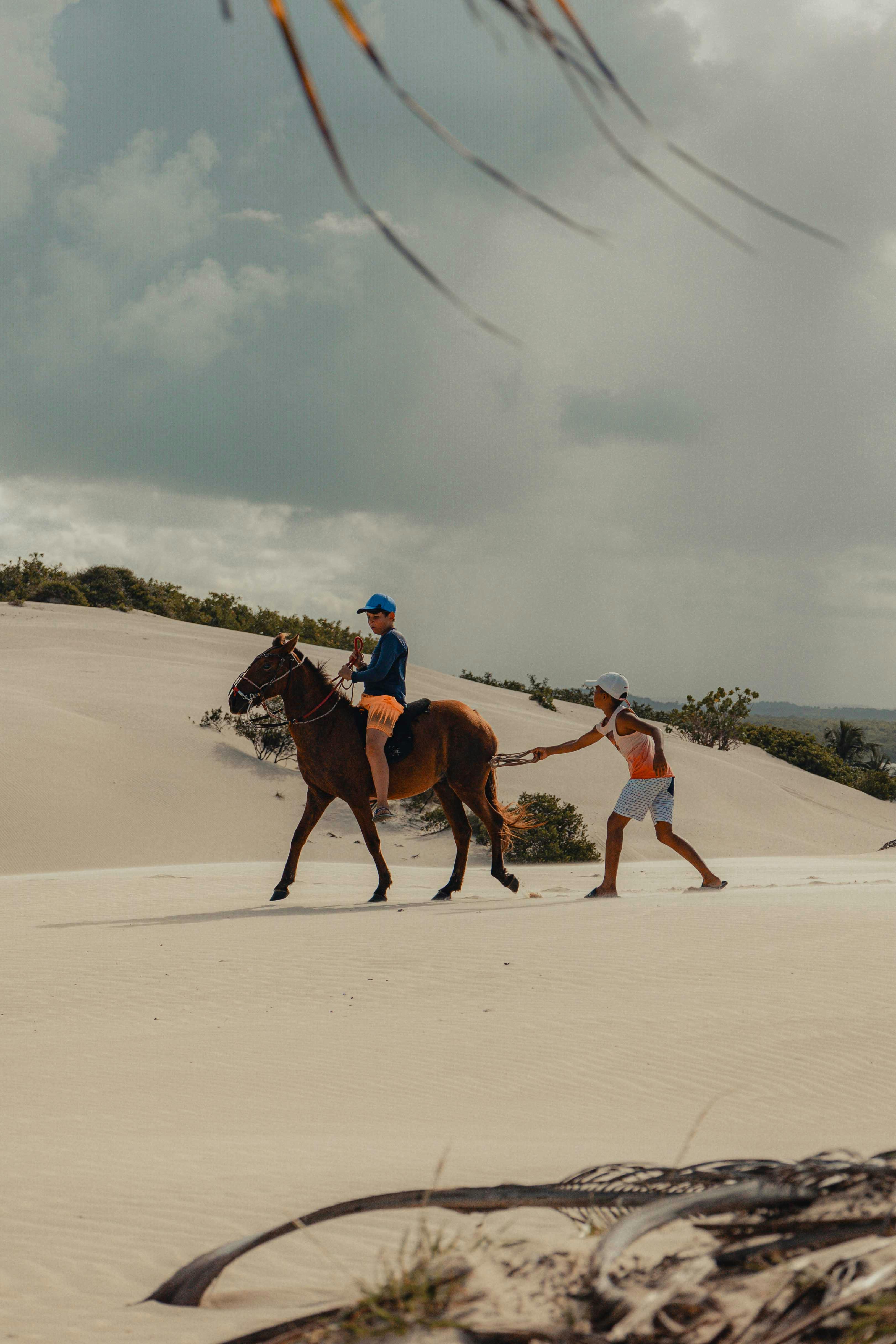 Person Riding a Brown Horse · Free Stock Photo