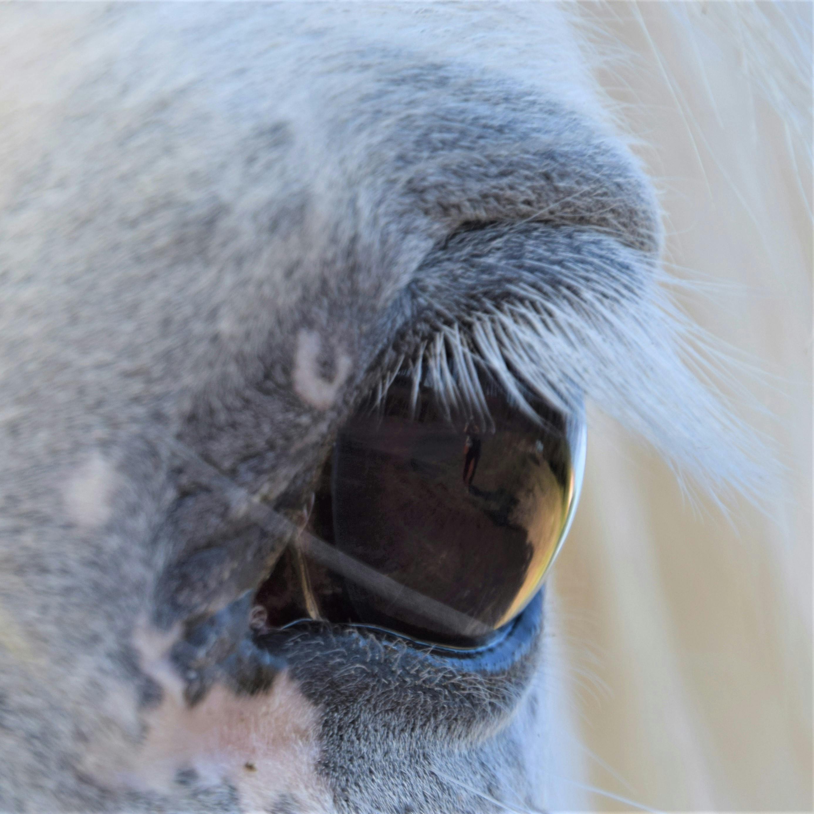 Isabelle Borg - Photographie