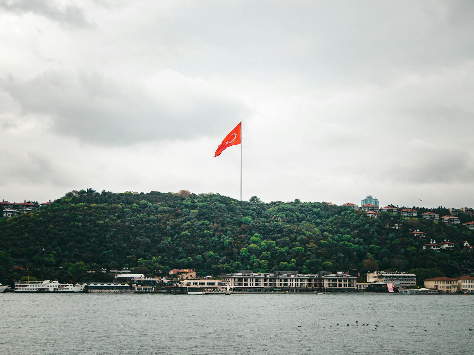 Turk Flag Photos, Download The BEST Free Turk Flag Stock Photos & HD Images