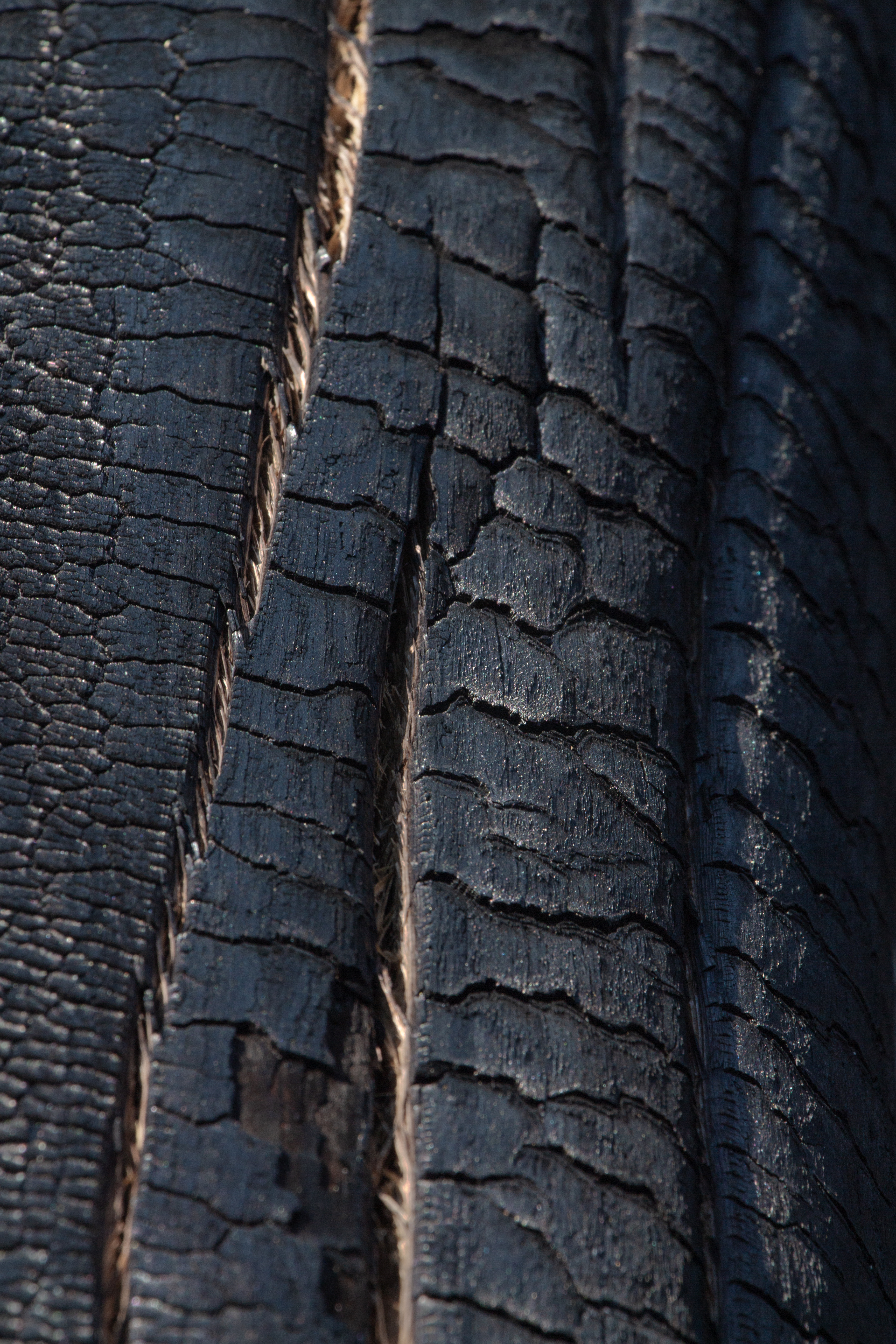 Close up of Wheel Trace on Ground · Free Stock Photo