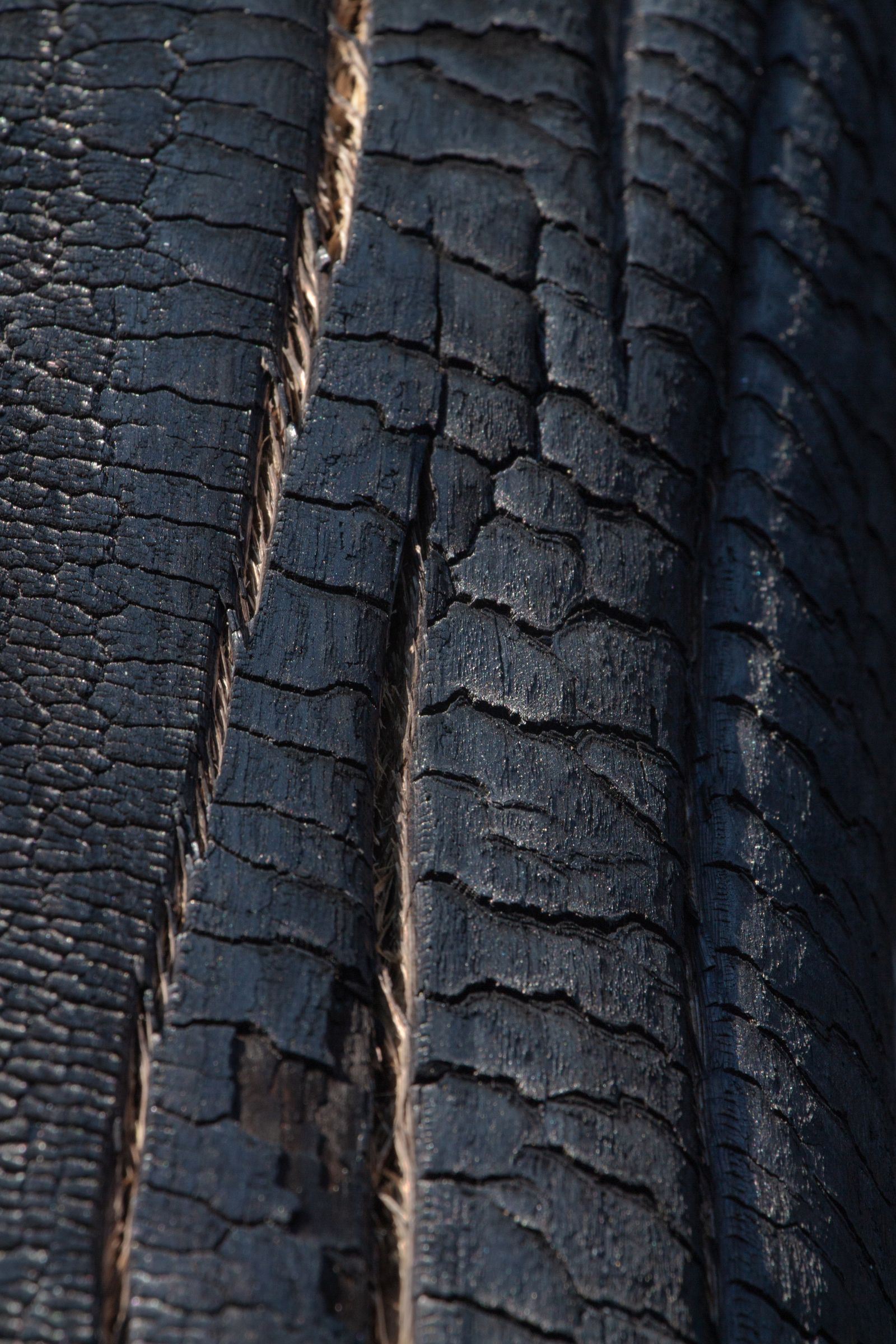 Black And Ash Background Photos, Download The BEST Free Black And Ash ...