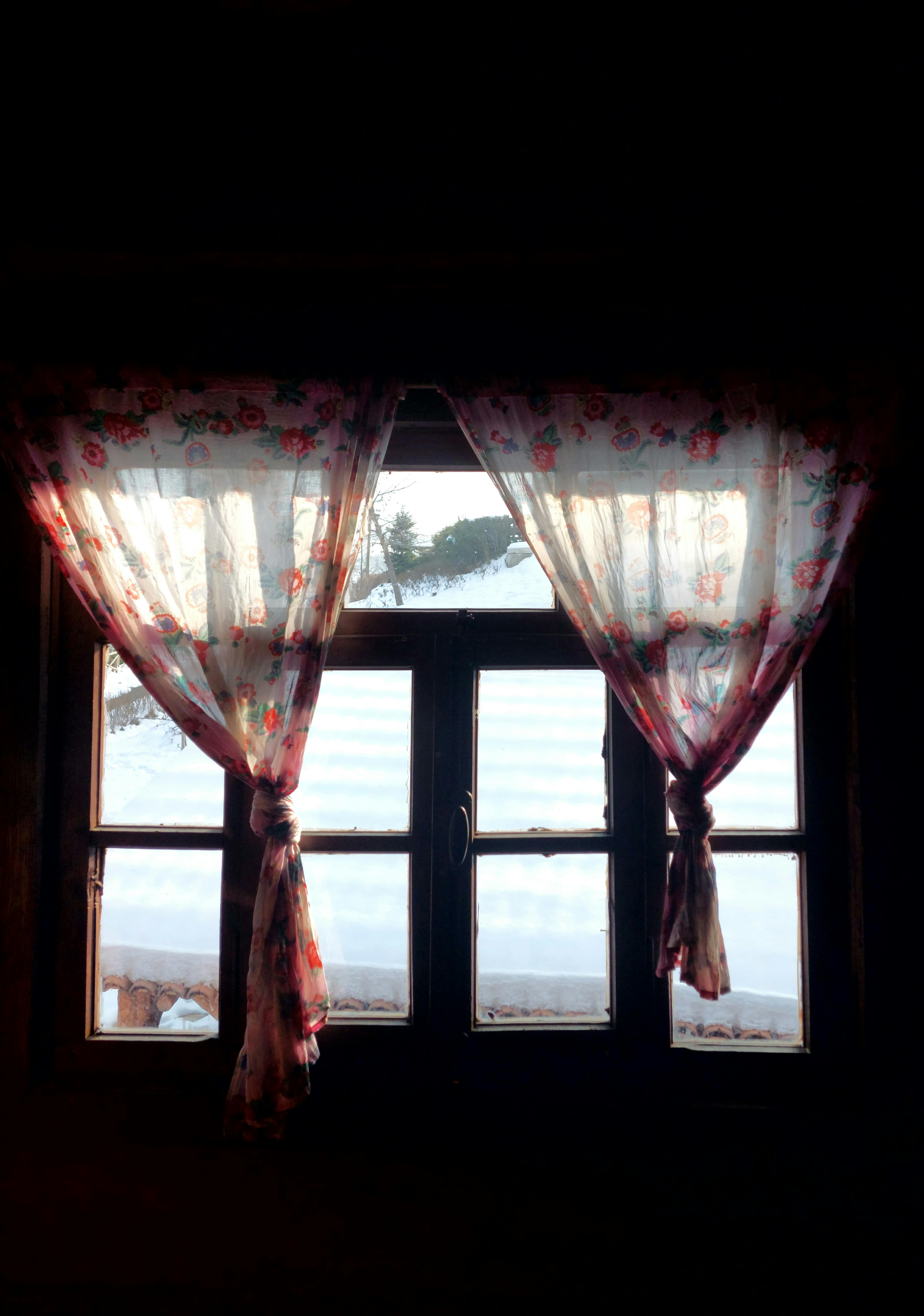 Window Drapes Shades Images Photos, Download The BEST Free Window ...
