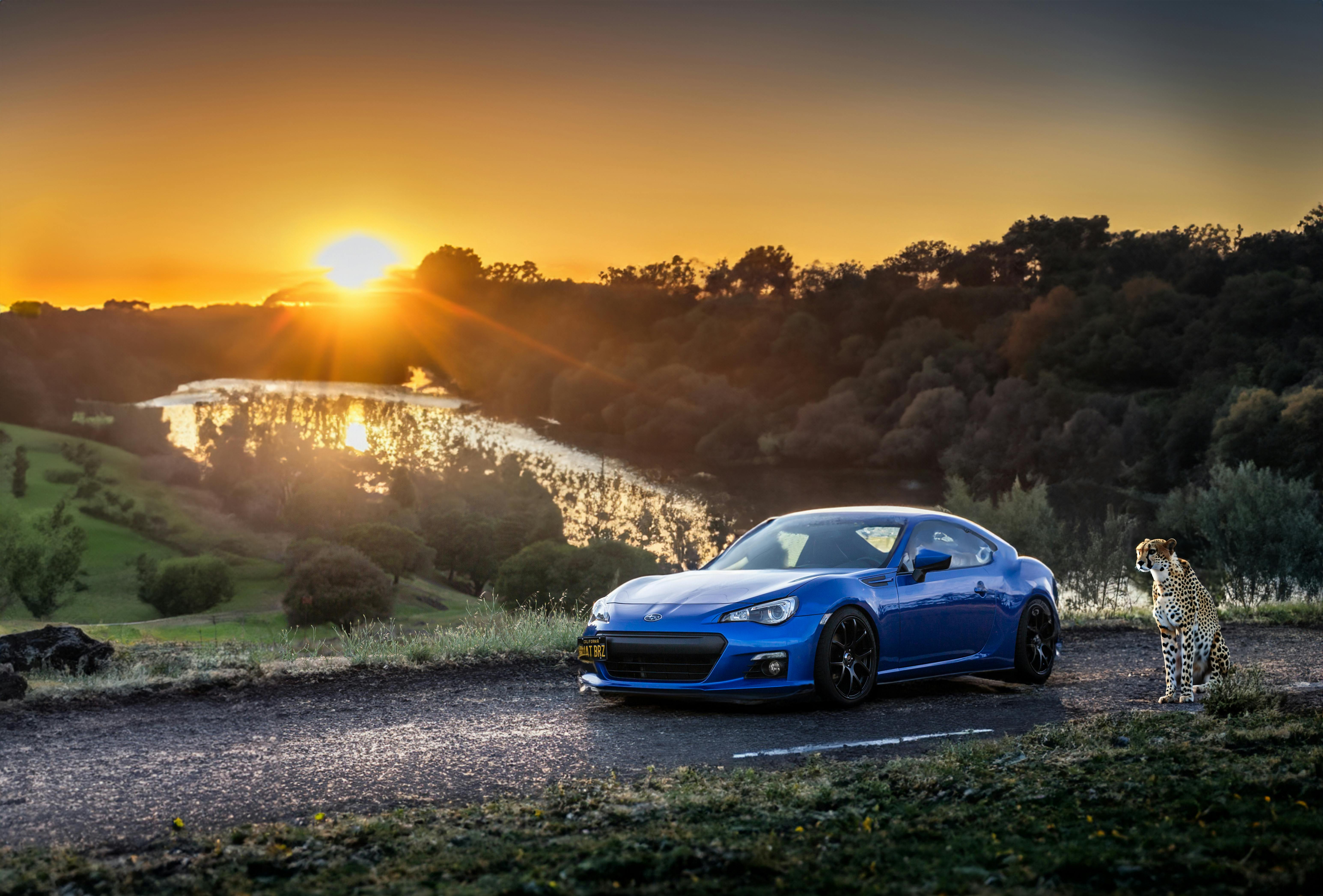 Rental Cars Wallpaper Photos, Download The BEST Free Rental Cars ...