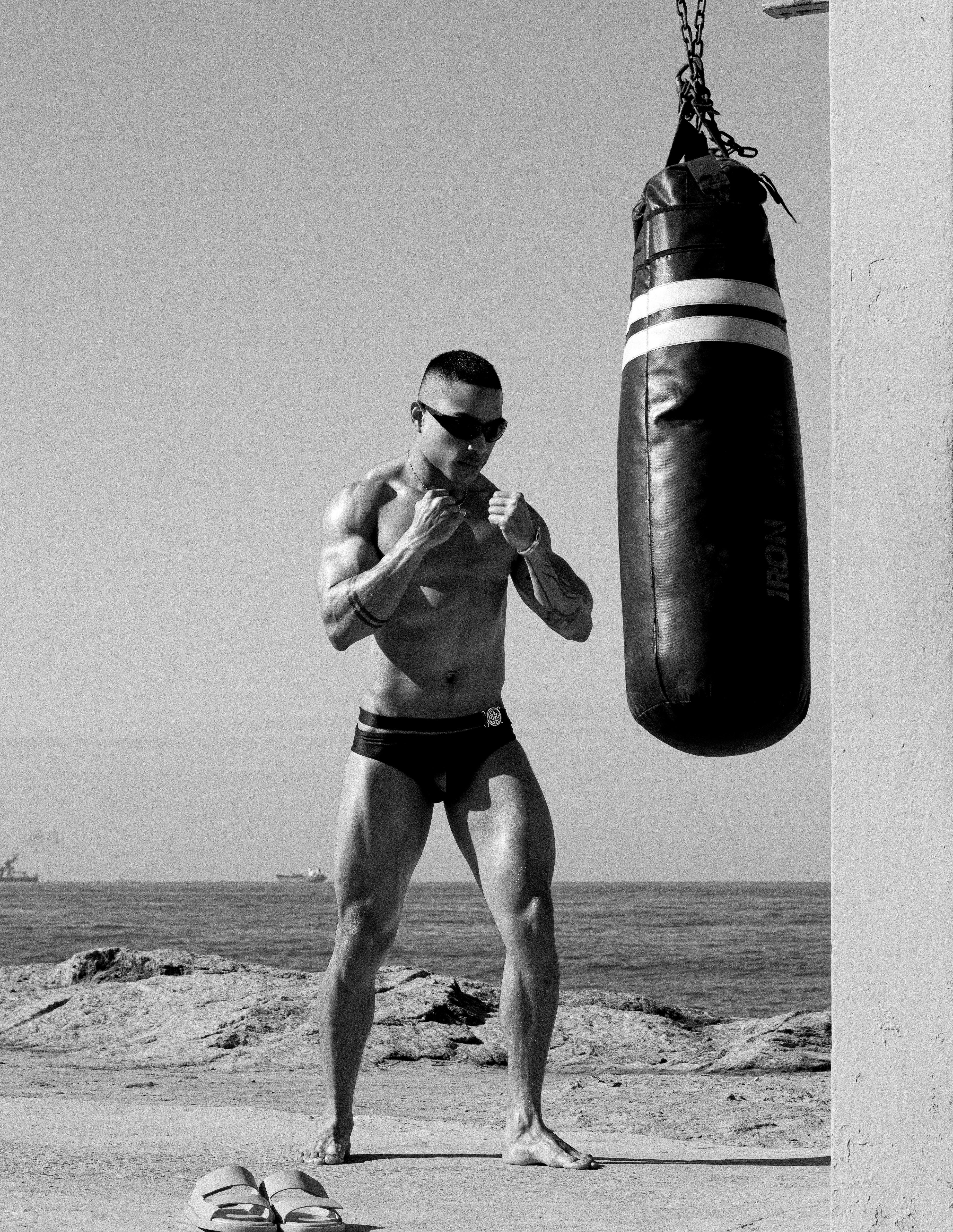 14.468+ Fotos y Imágenes de Royalty free boxer turtle Gratis · Banco de ...