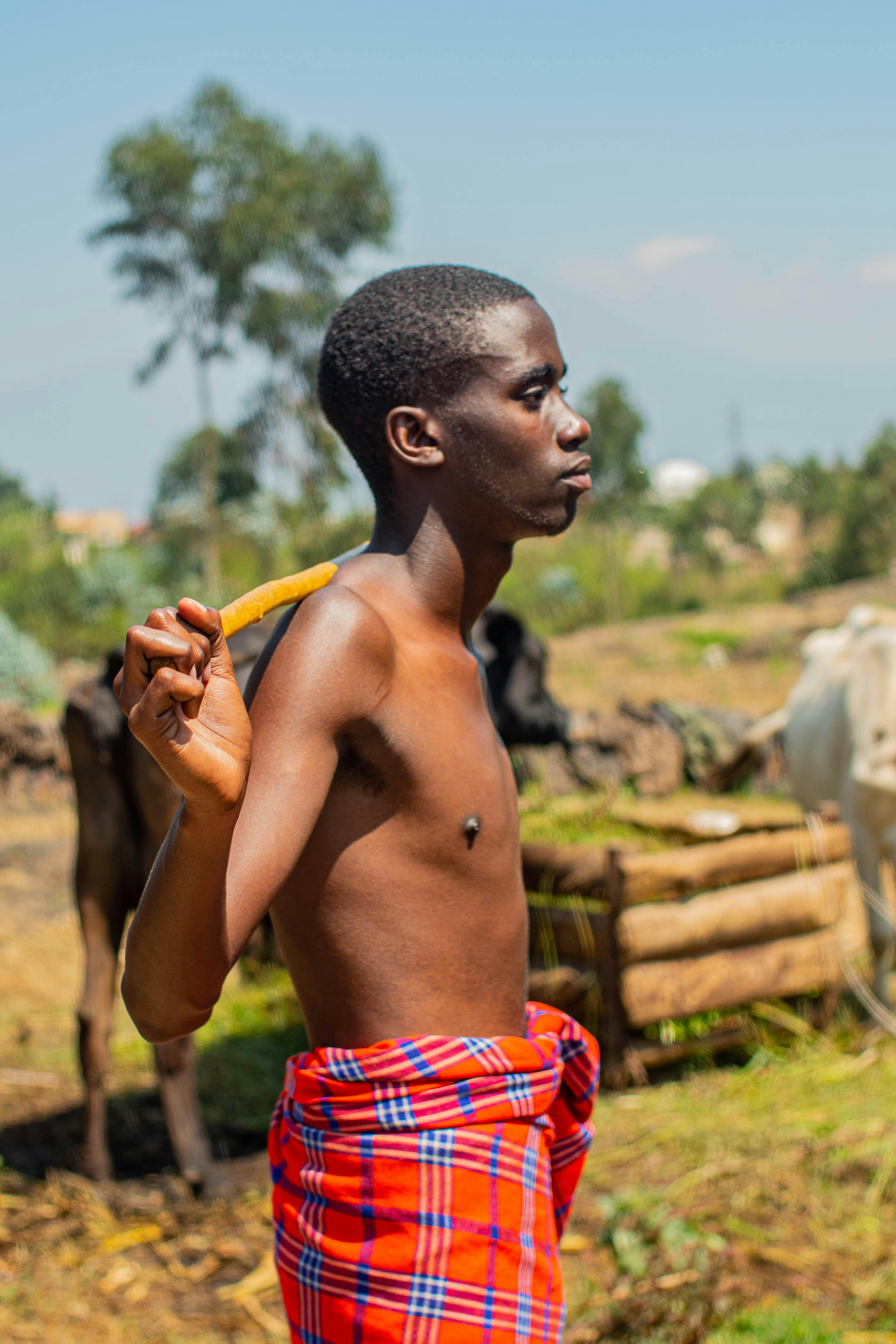 African Farmer In Field Photos, Download The BEST Free African Farmer ...